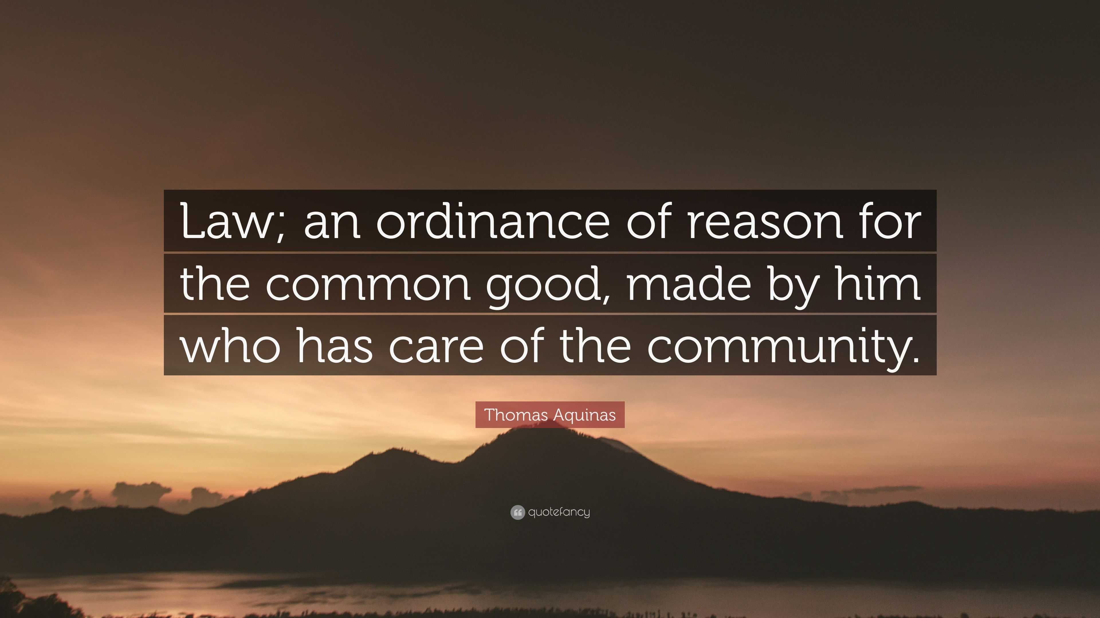 Thomas Aquinas Quote: “Law; an ordinance of reason for the common good ...