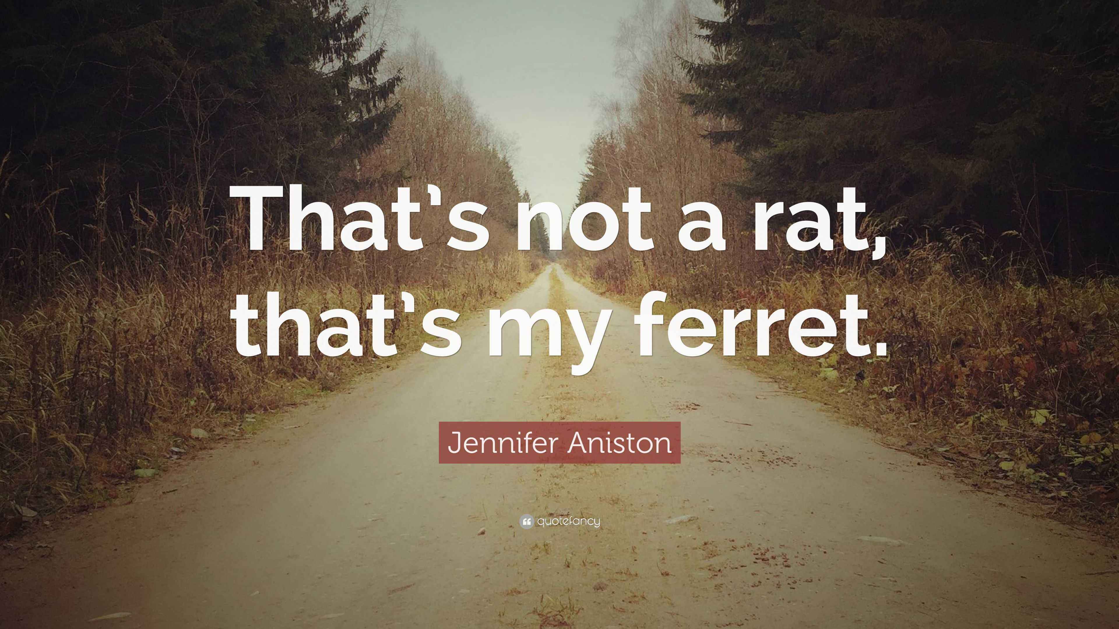 Jennifer Aniston Quote: “That’s not a rat, that’s my ferret.”
