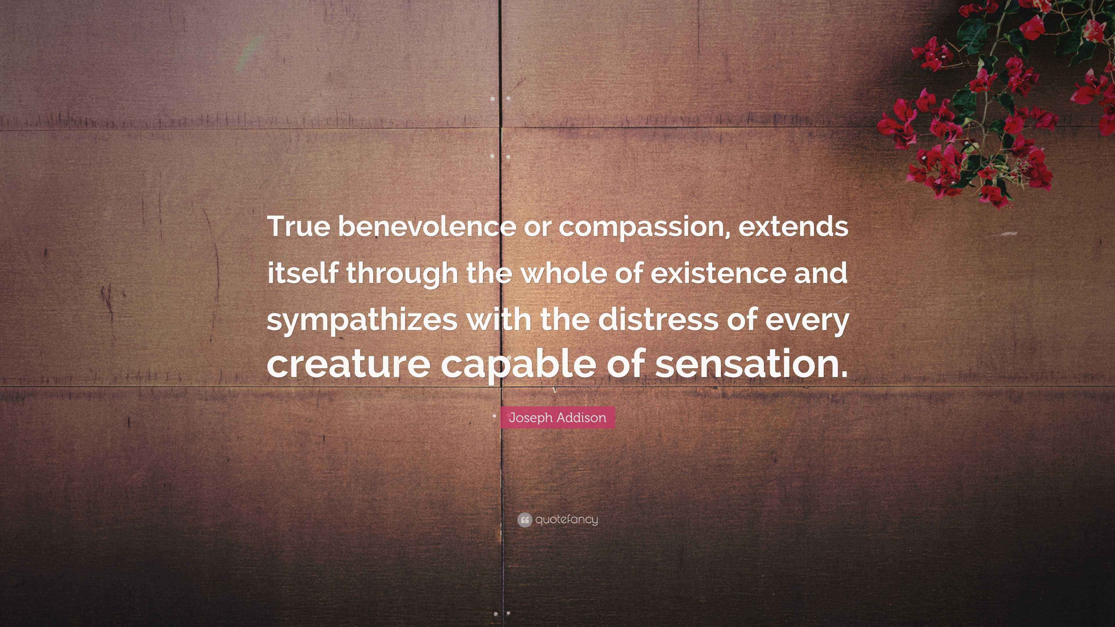 Joseph Addison Quote: “True benevolence or compassion, extends itself ...