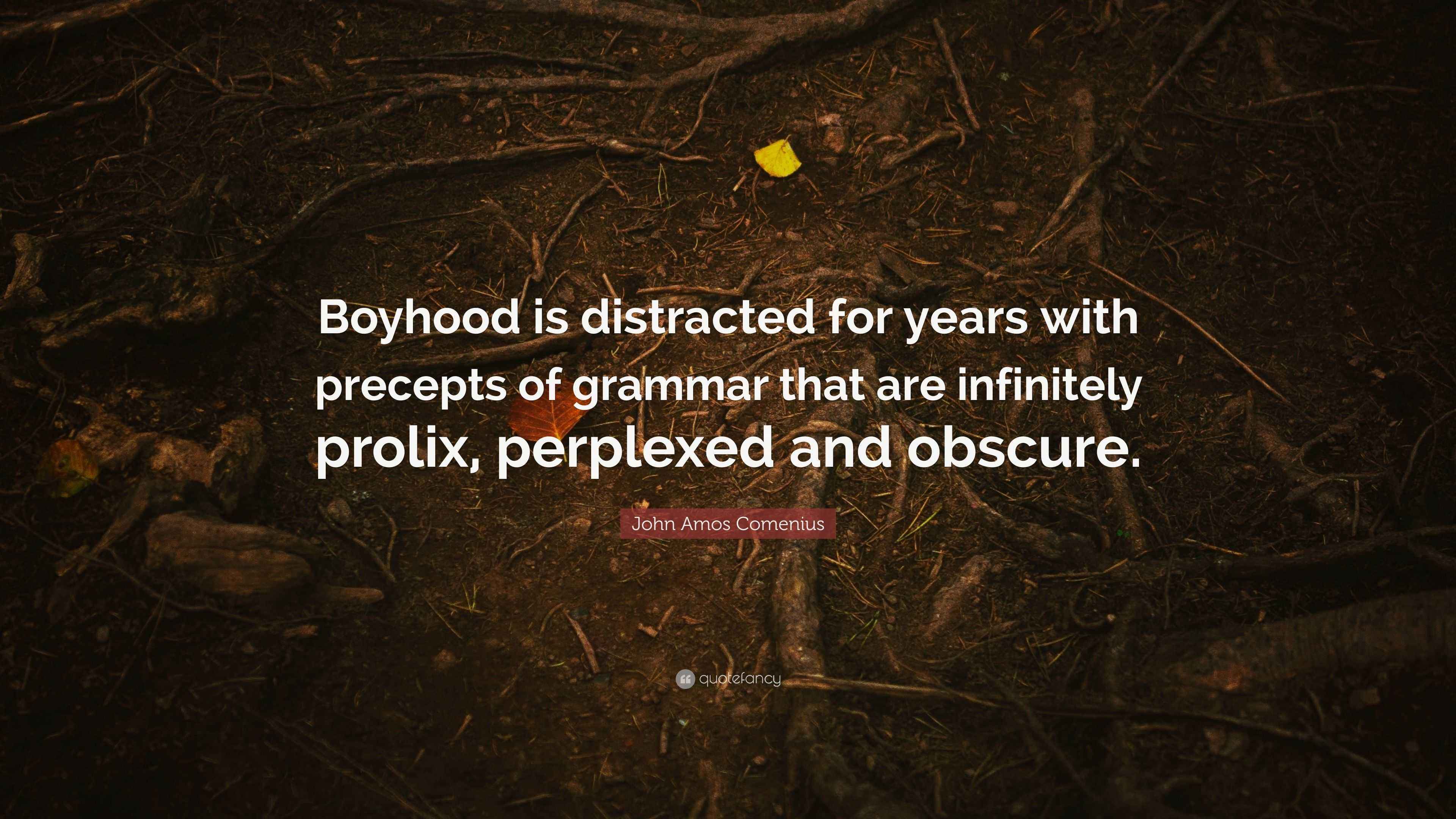 John Amos Comenius Quote: “Boyhood is distracted for years with ...