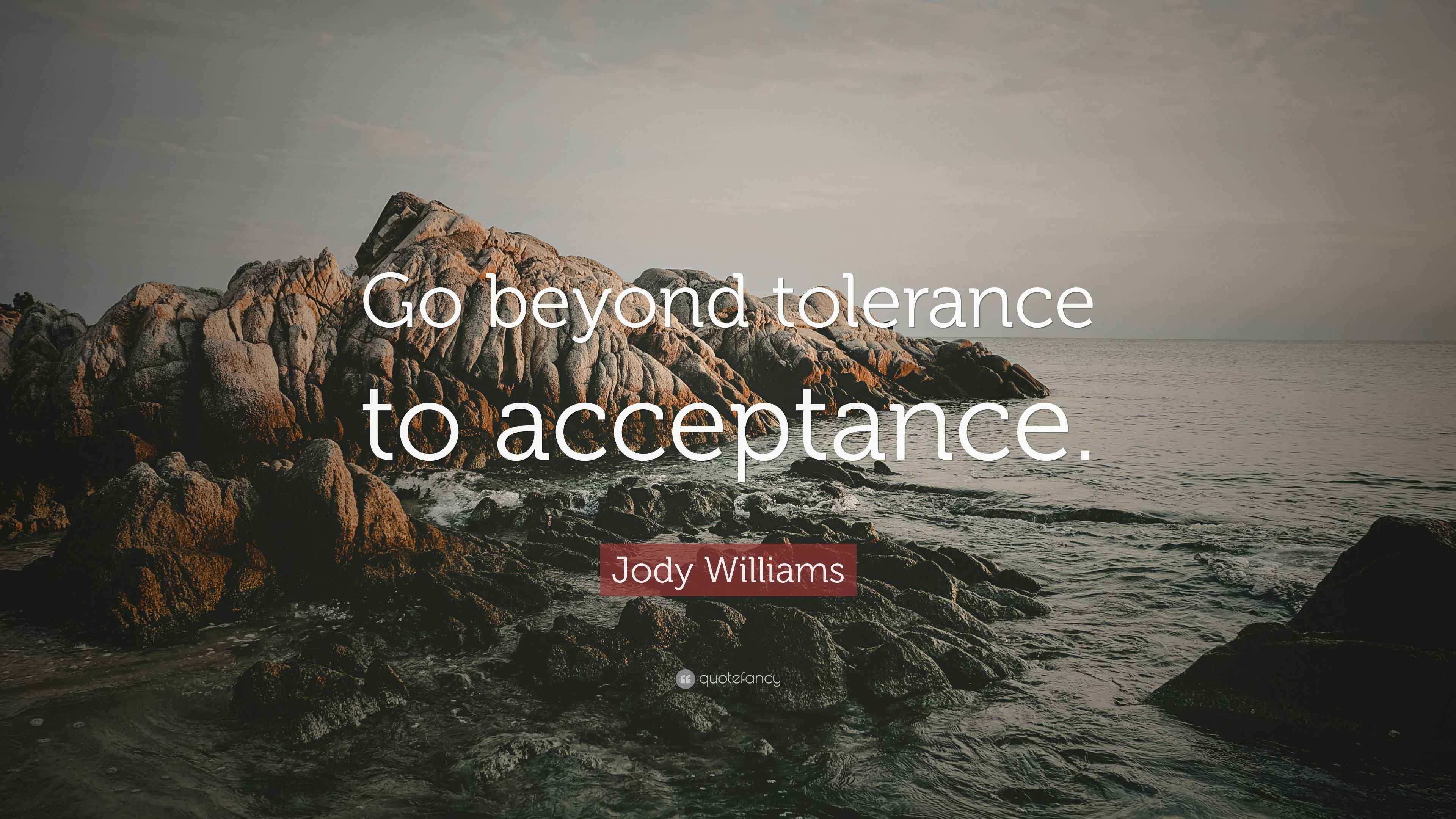 Jody Williams Quote: “Go beyond tolerance to acceptance.”