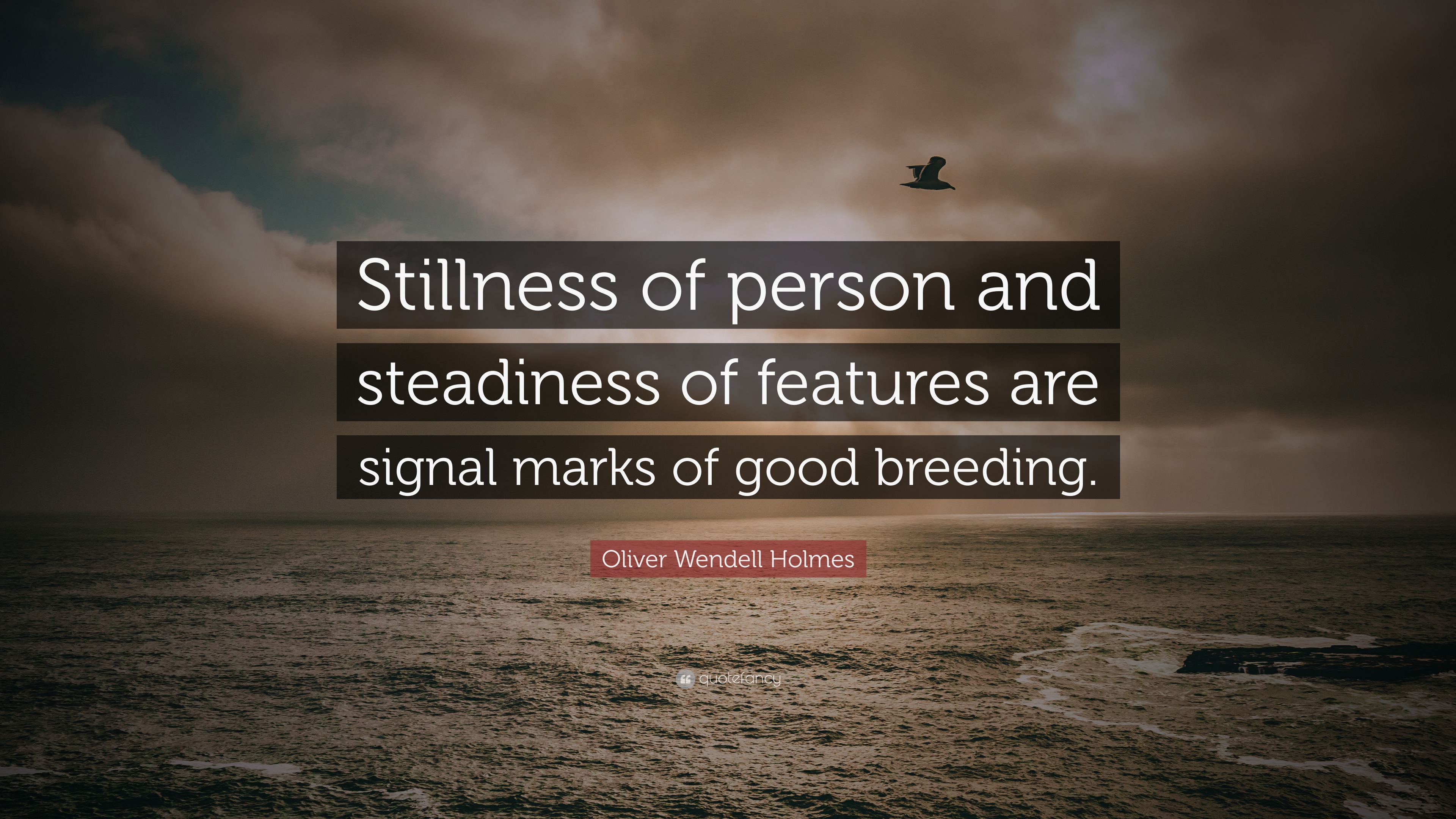 Oliver Wendell Holmes Quote: “Stillness of person and steadiness of ...