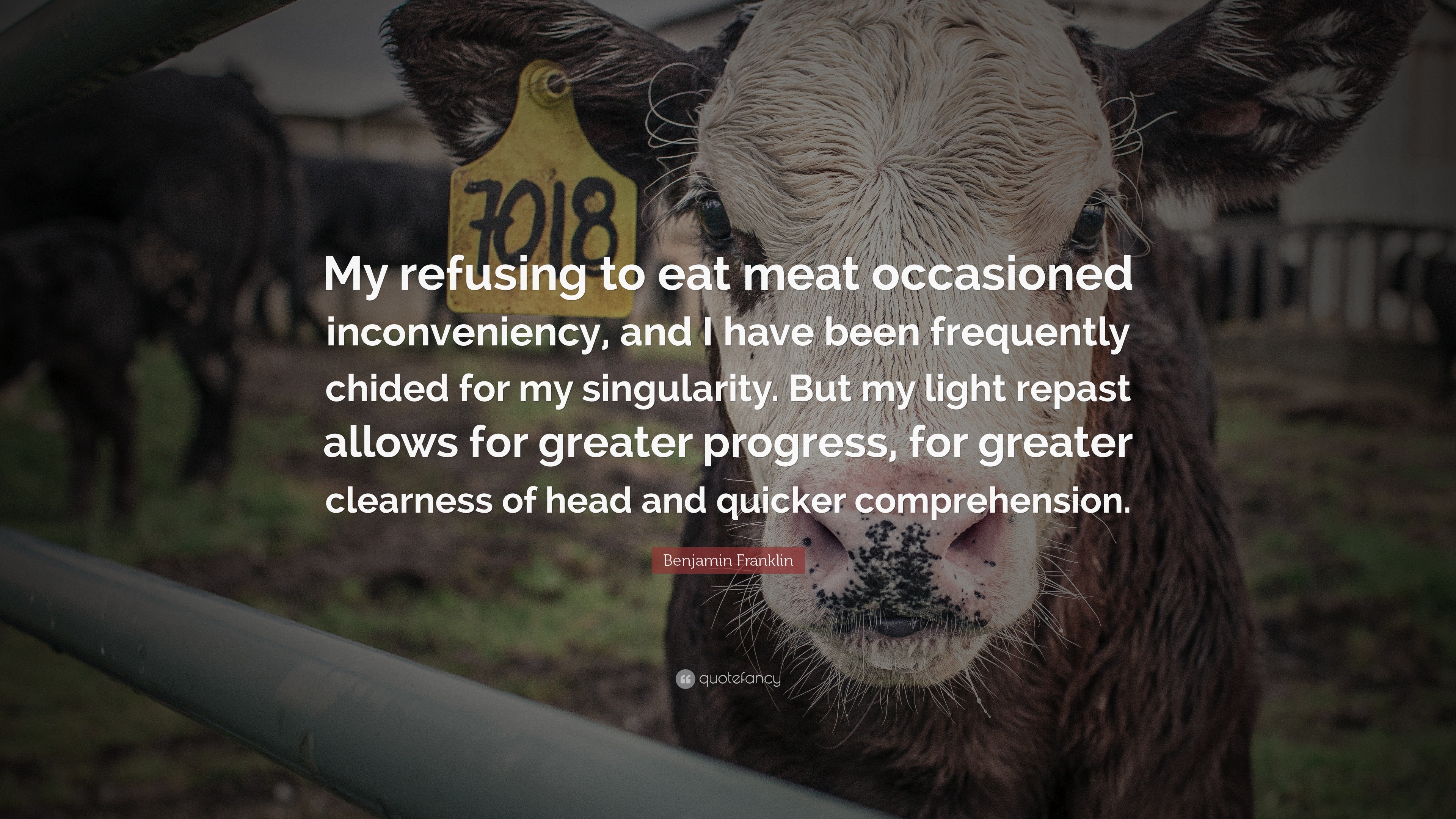 Benjamin Franklin Quote: “My refusing to eat meat occasioned ...