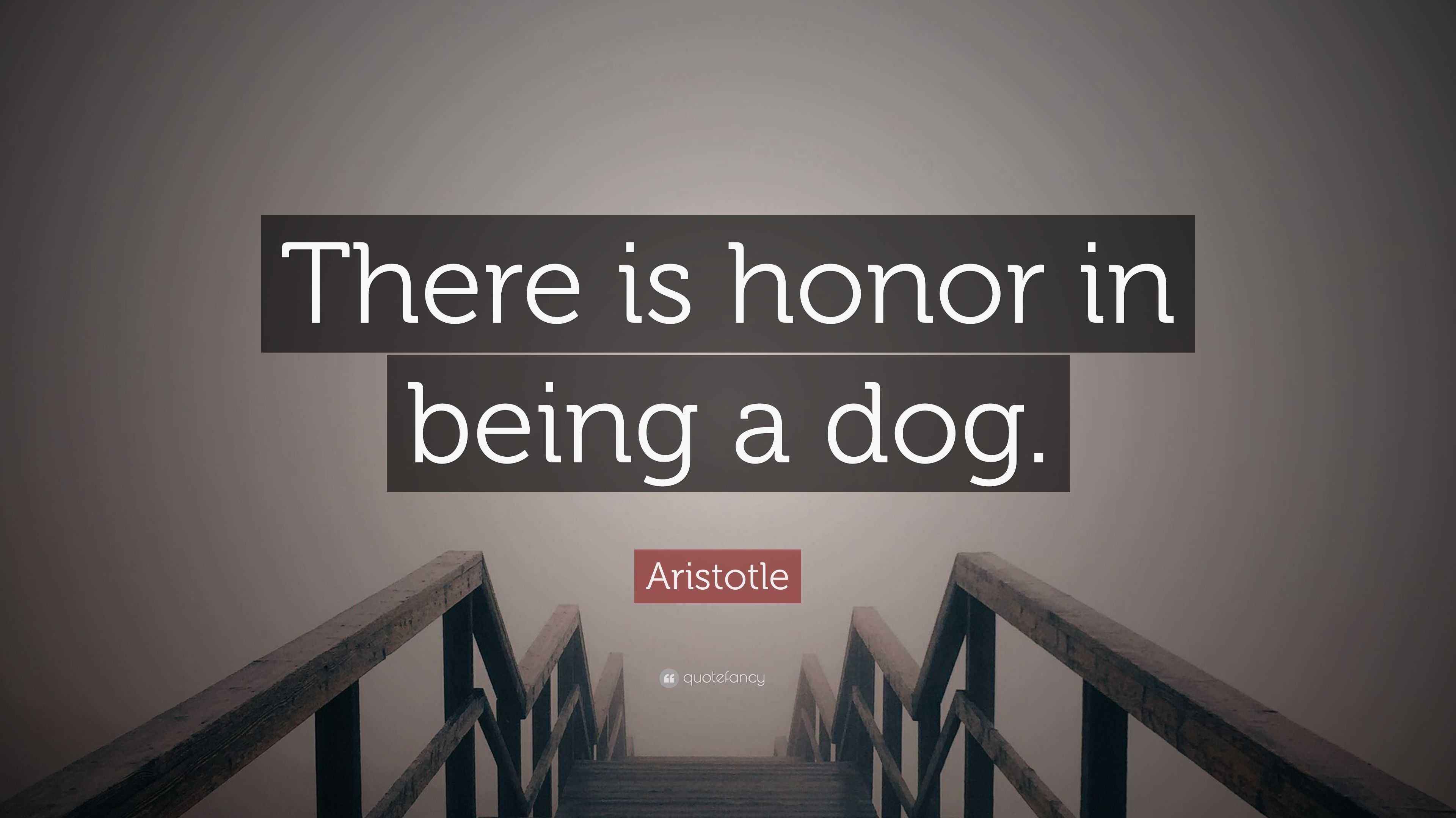 Aristotle Quote: “There is honor in being a dog.”