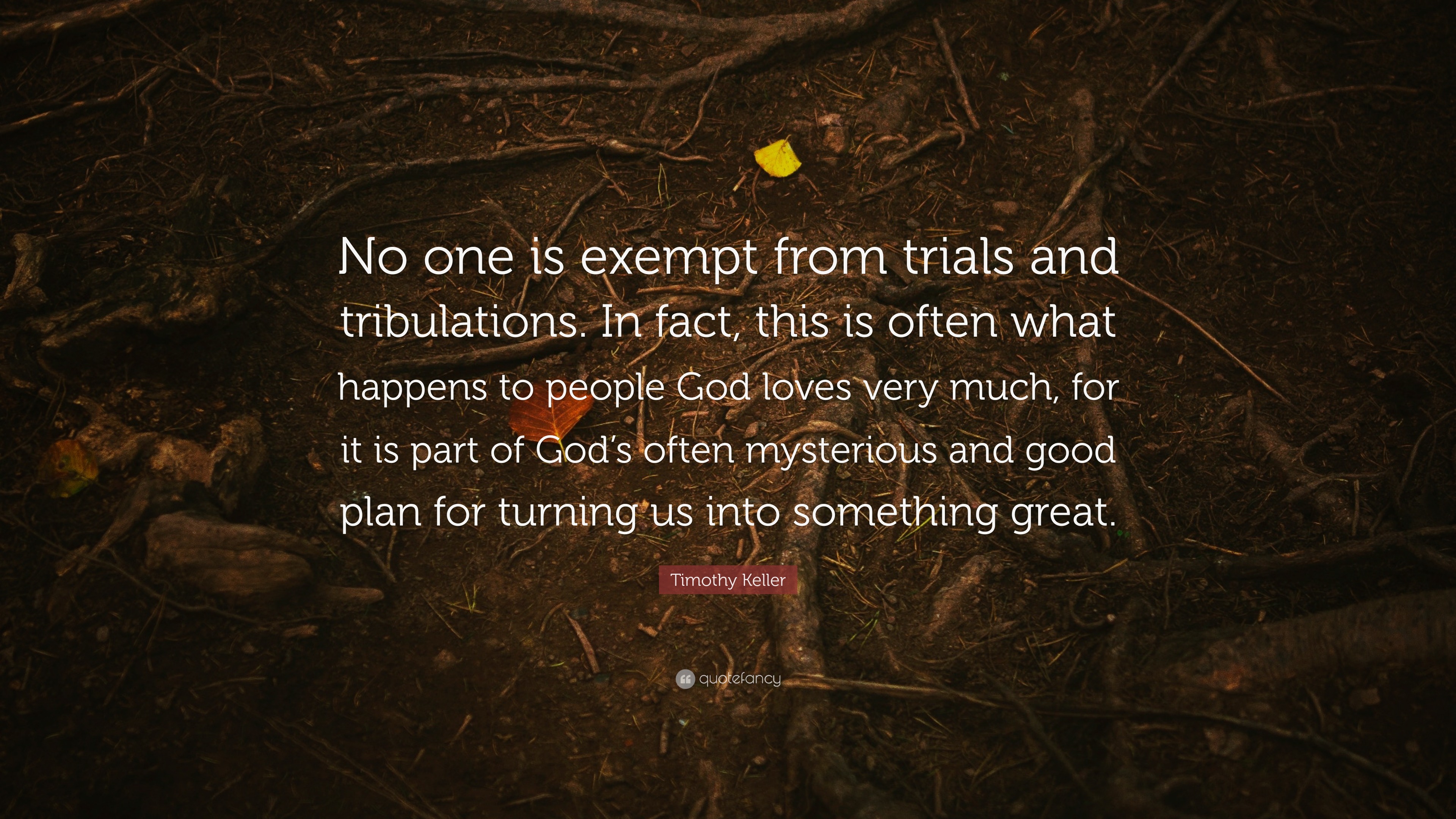 Timothy Keller Quote: “No one is exempt from trials and tribulations ...