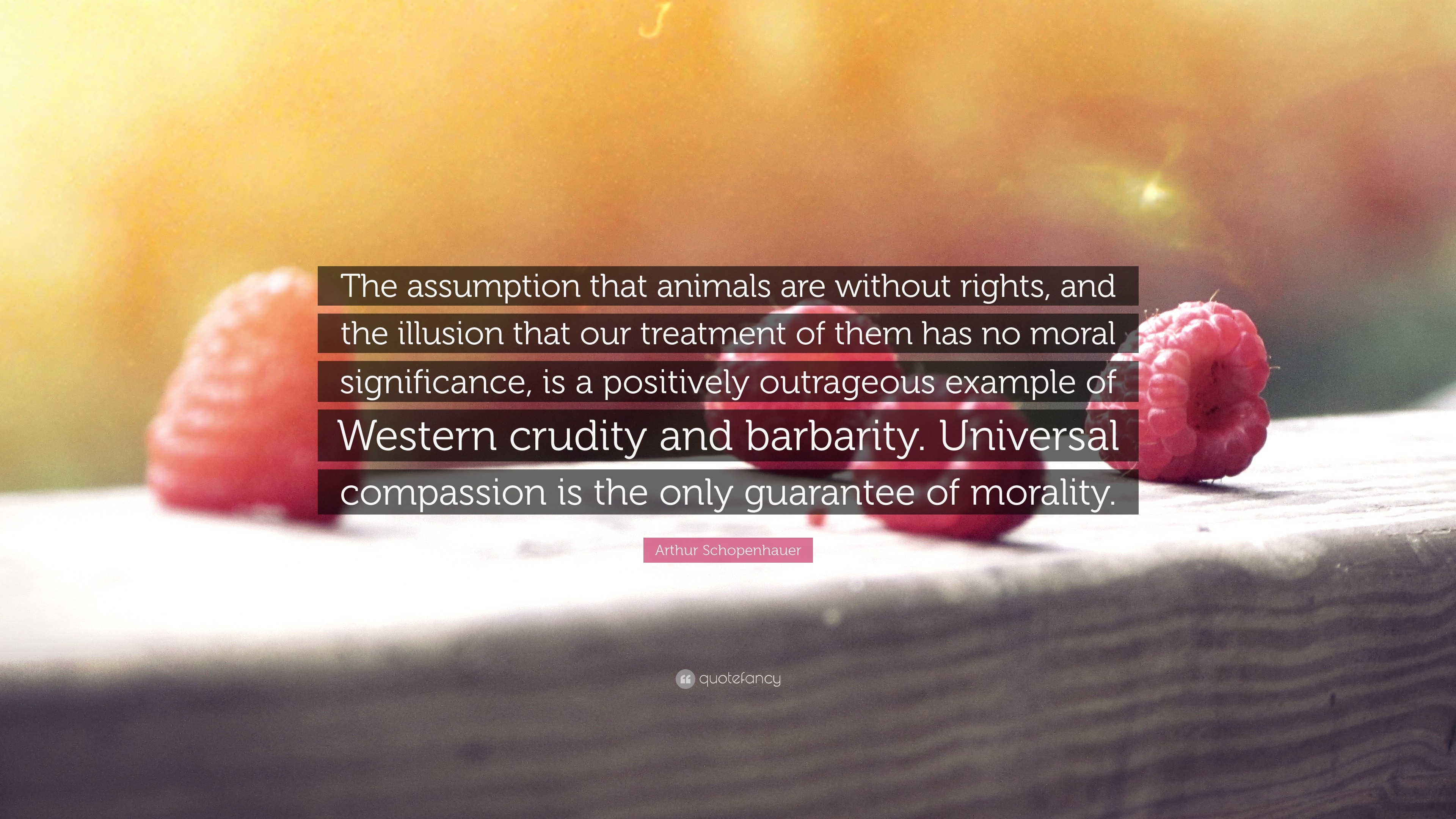 Arthur Schopenhauer Quote: “The assumption that animals are without ...