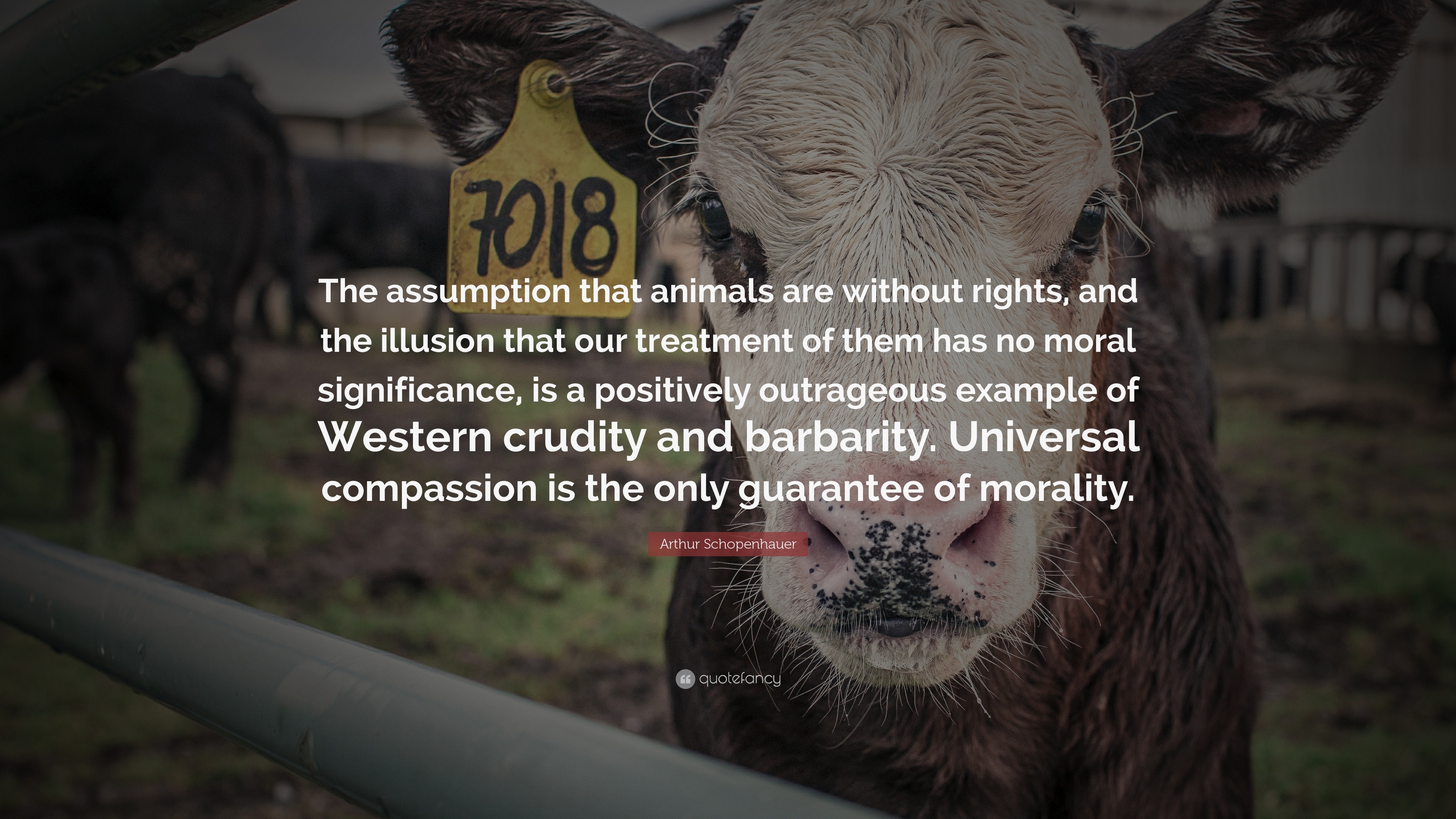 Arthur Schopenhauer Quote: “The assumption that animals are without ...