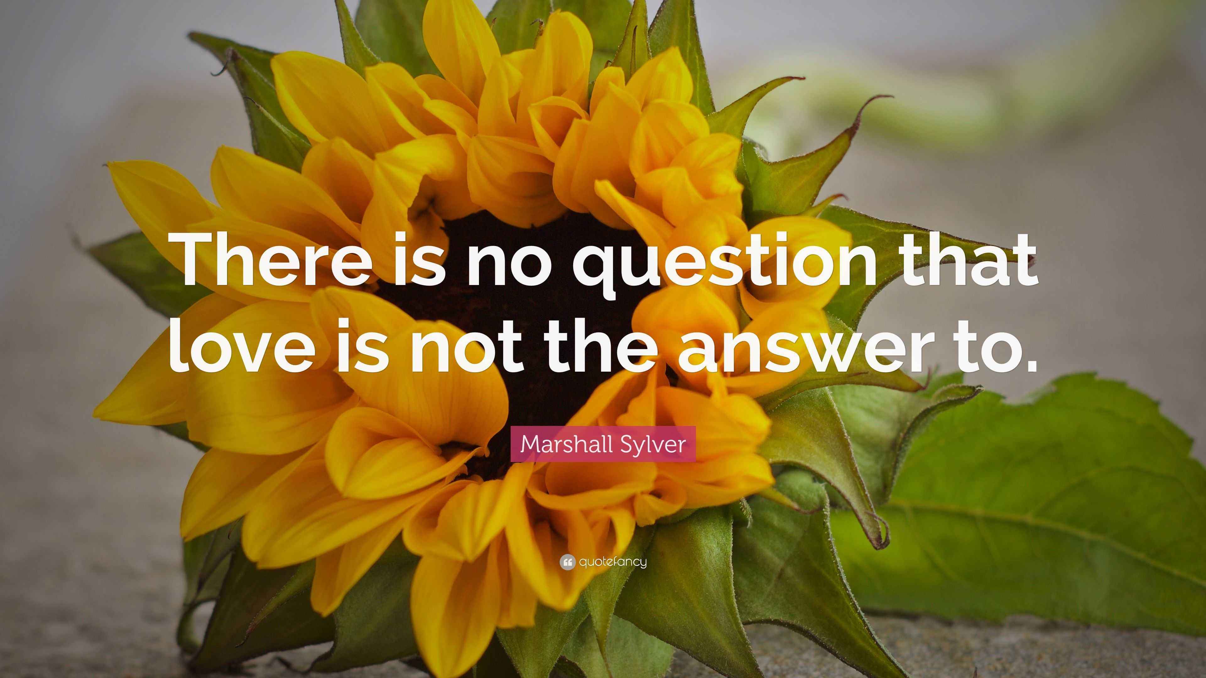 Marshall Sylver Quote: “There is no question that love is not the ...