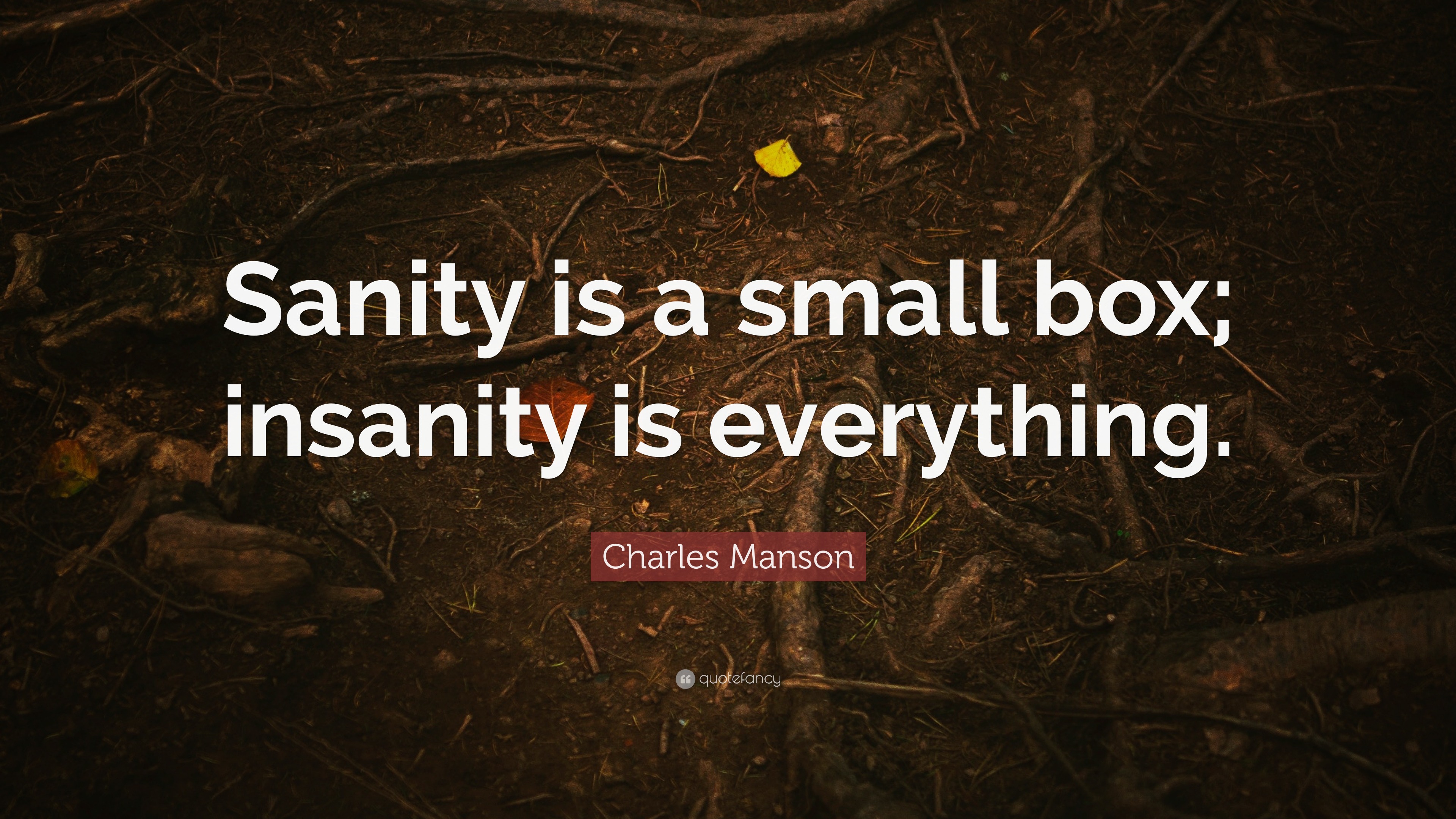 Charles Manson Quote: “Sanity is a small box; insanity is everything.”