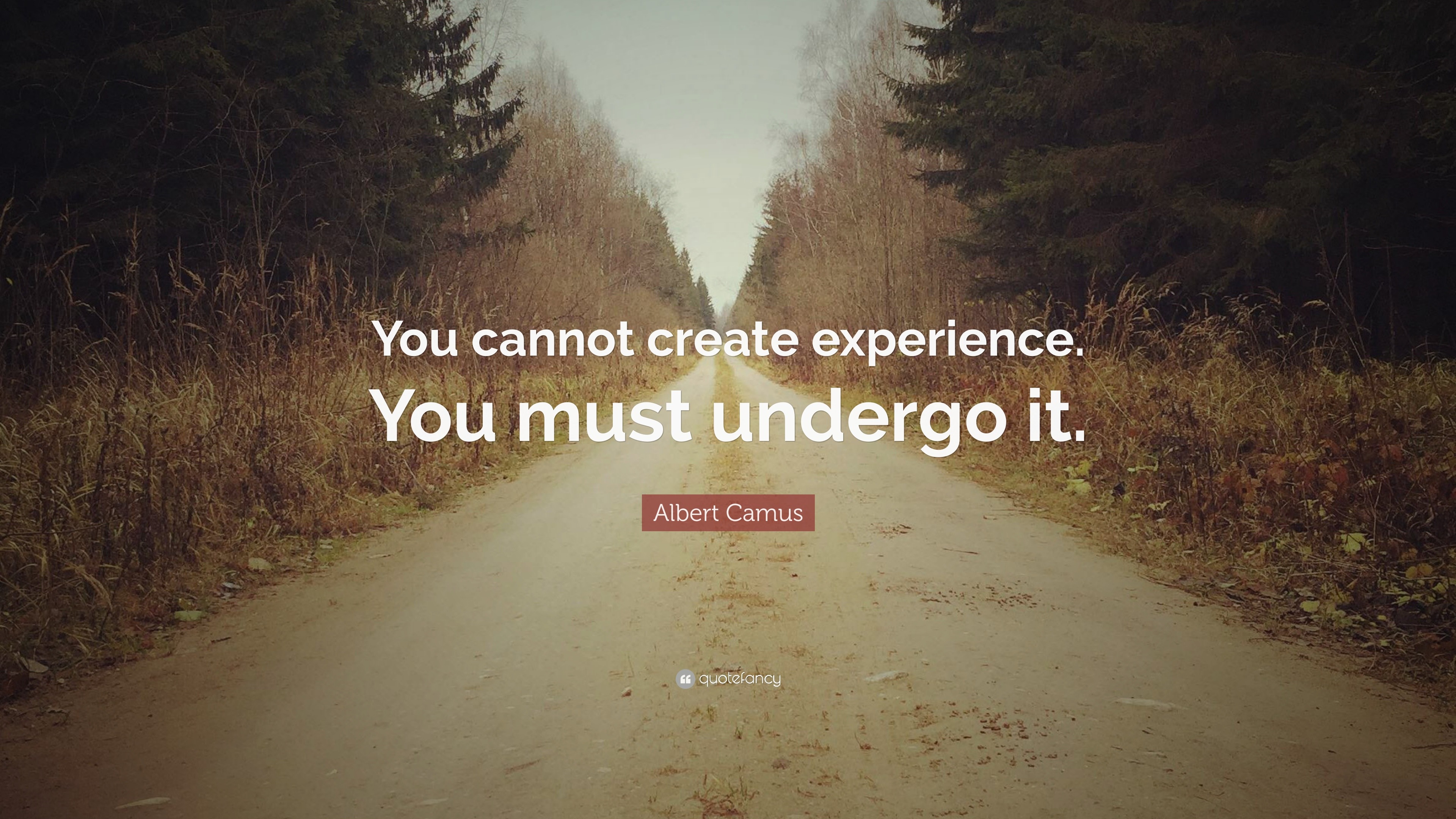 Albert Camus Quote: “You cannot create experience. You must undergo it.”