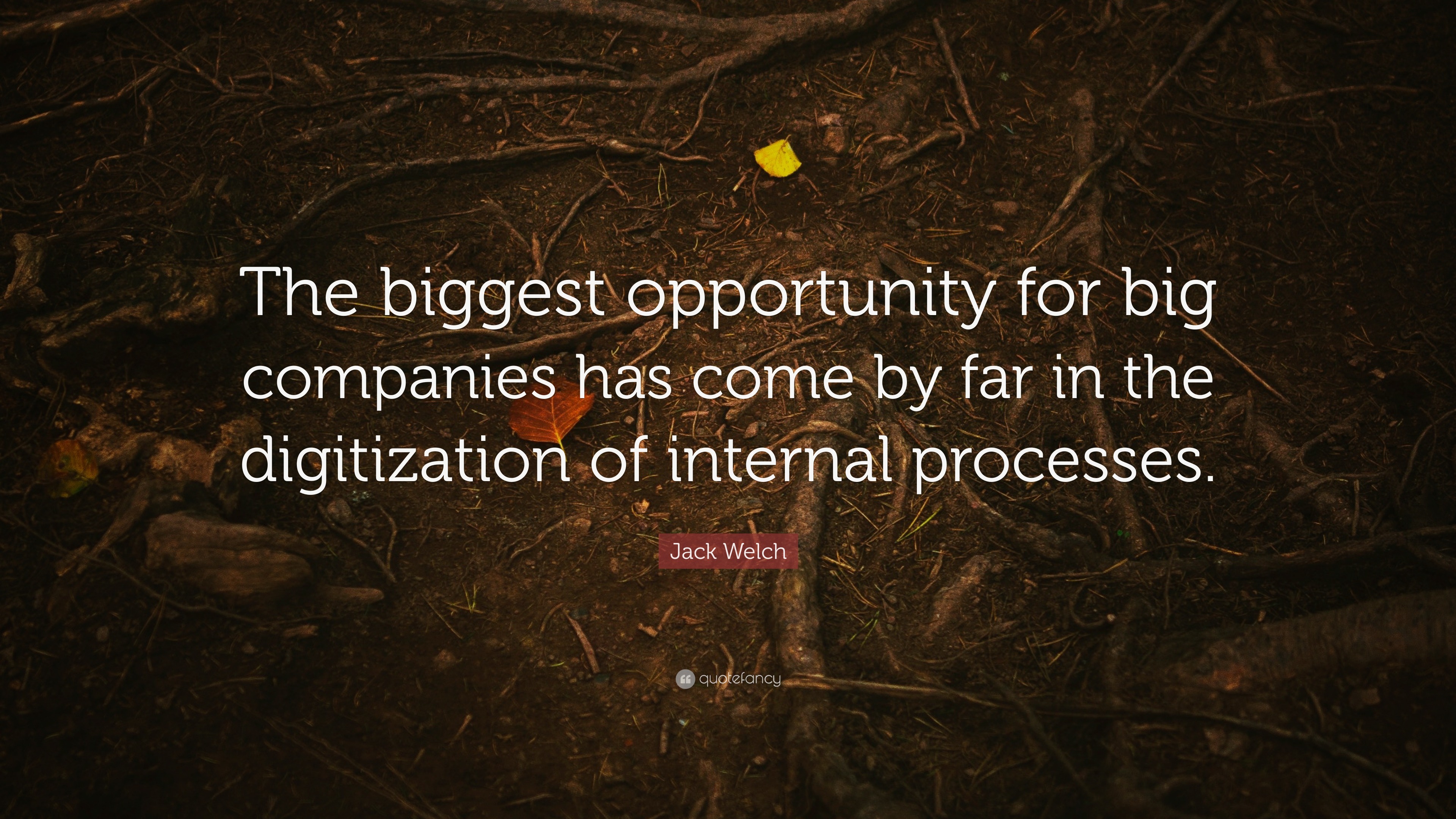 Jack Welch Quote: “The biggest opportunity for big companies has come ...