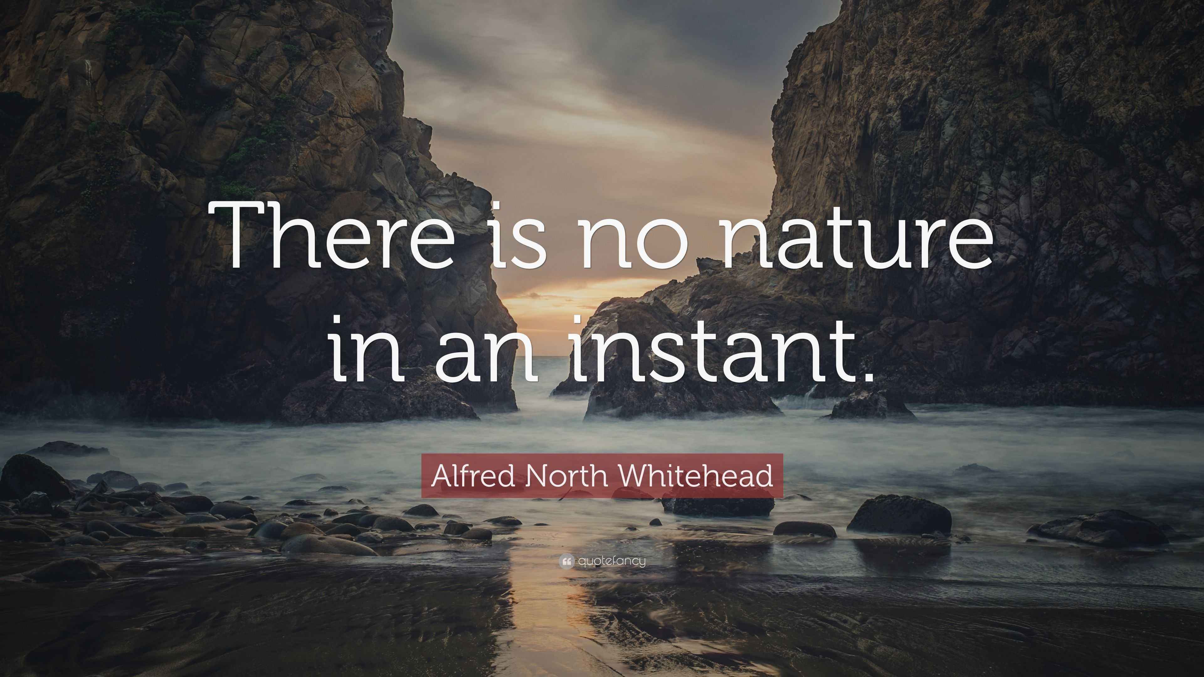 Alfred North Whitehead Quote: “There is no nature in an instant.”