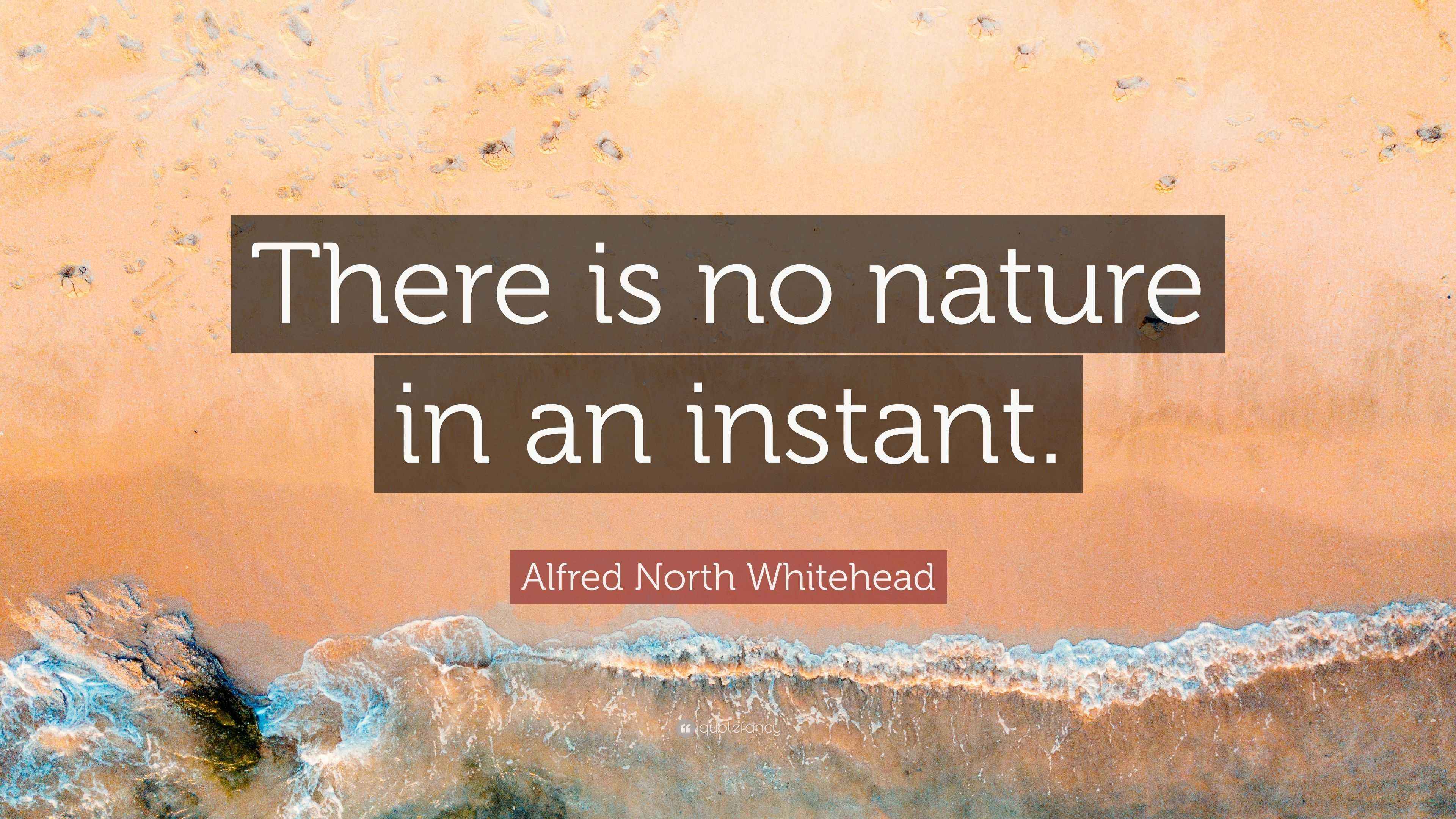 Alfred North Whitehead Quote: “There is no nature in an instant.”