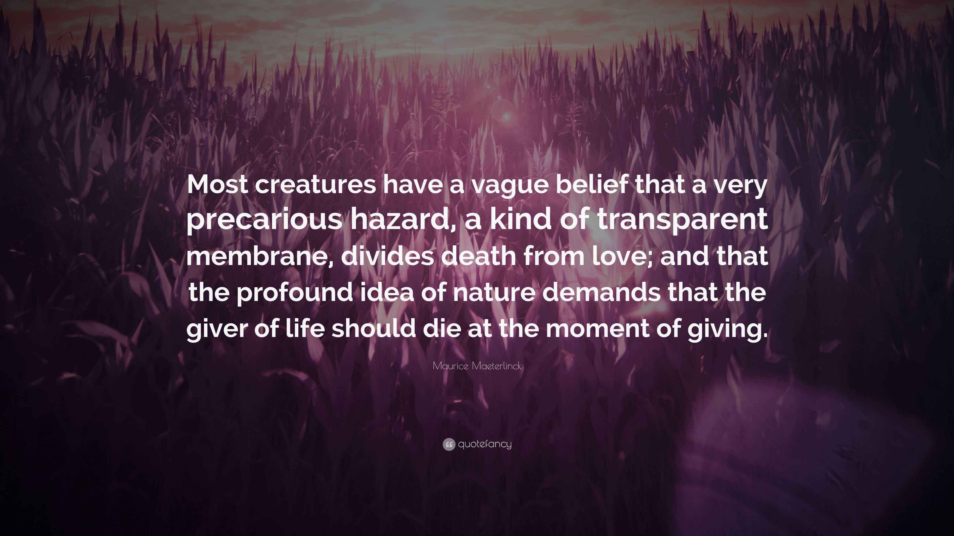 Maurice Maeterlinck Quote: “Most creatures have a vague belief that a ...