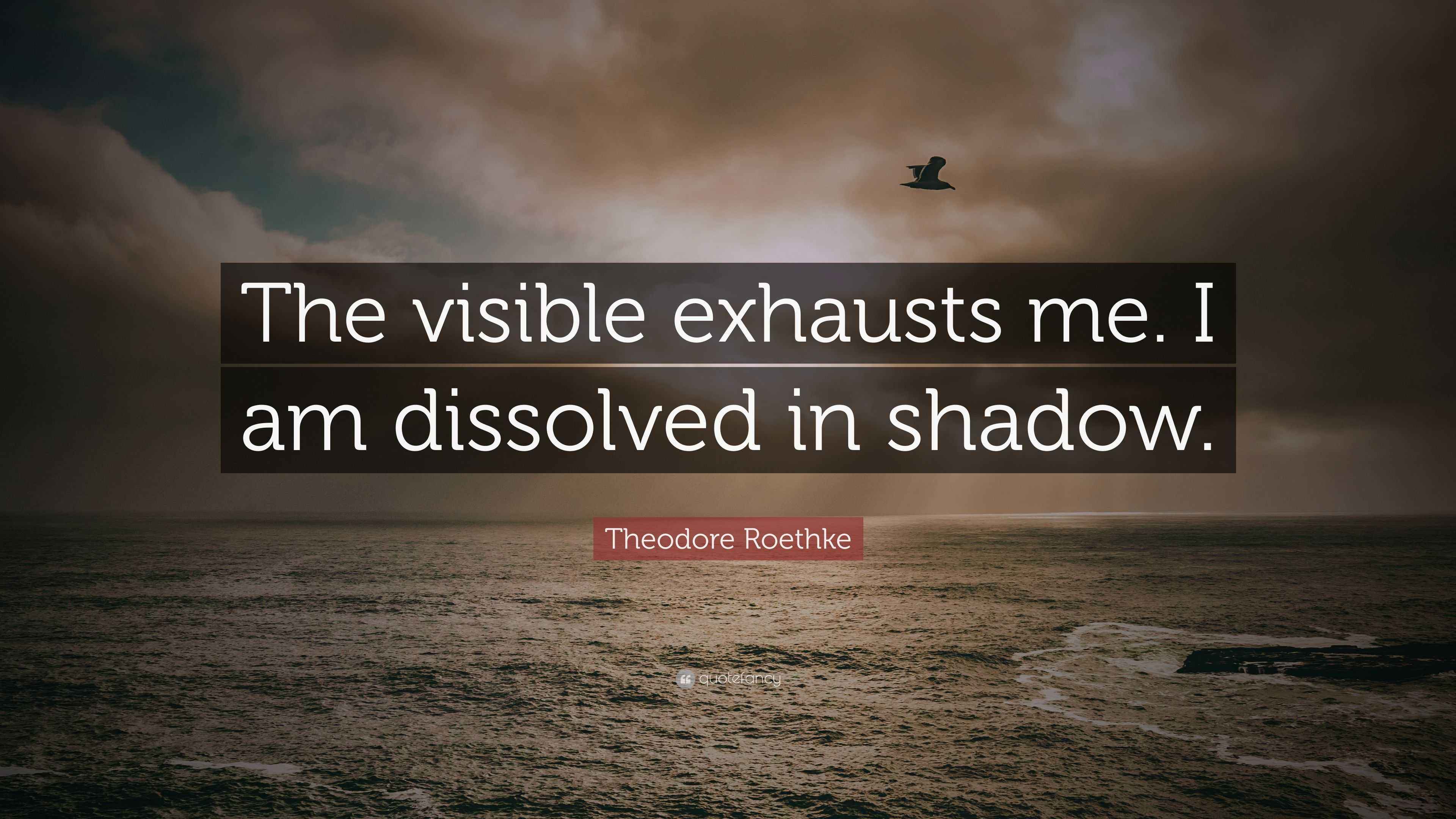 Theodore Roethke Quote: “The visible exhausts me. I am dissolved in ...