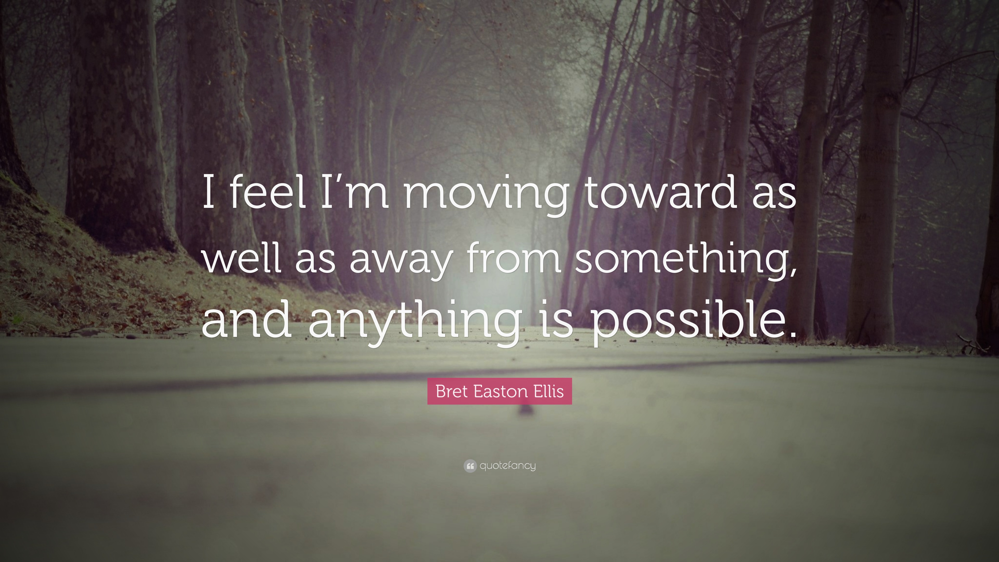 Bret Easton Ellis Quote: “I feel I’m moving toward as well as away from ...