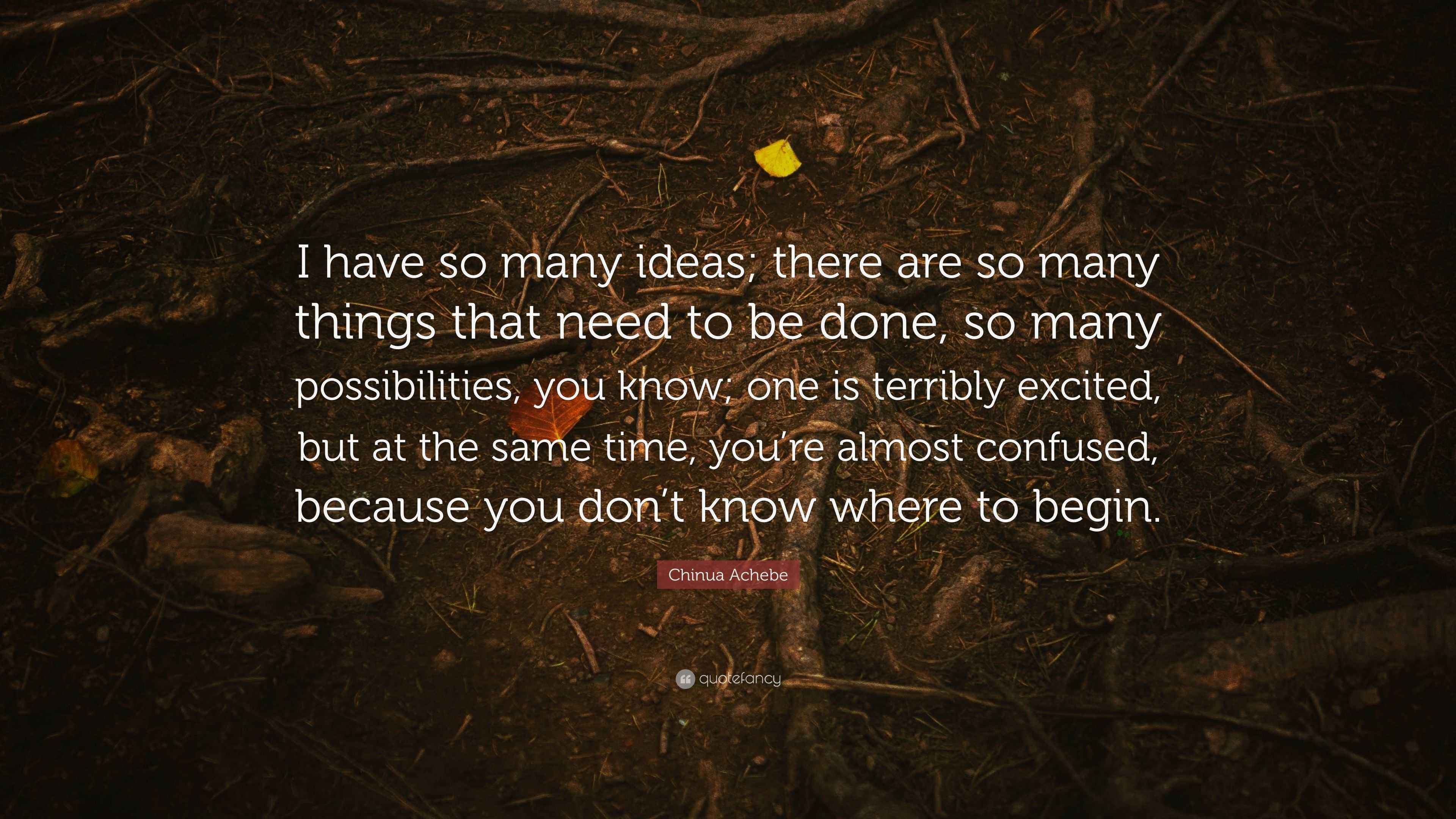 Chinua Achebe Quote: “I have so many ideas; there are so many things ...