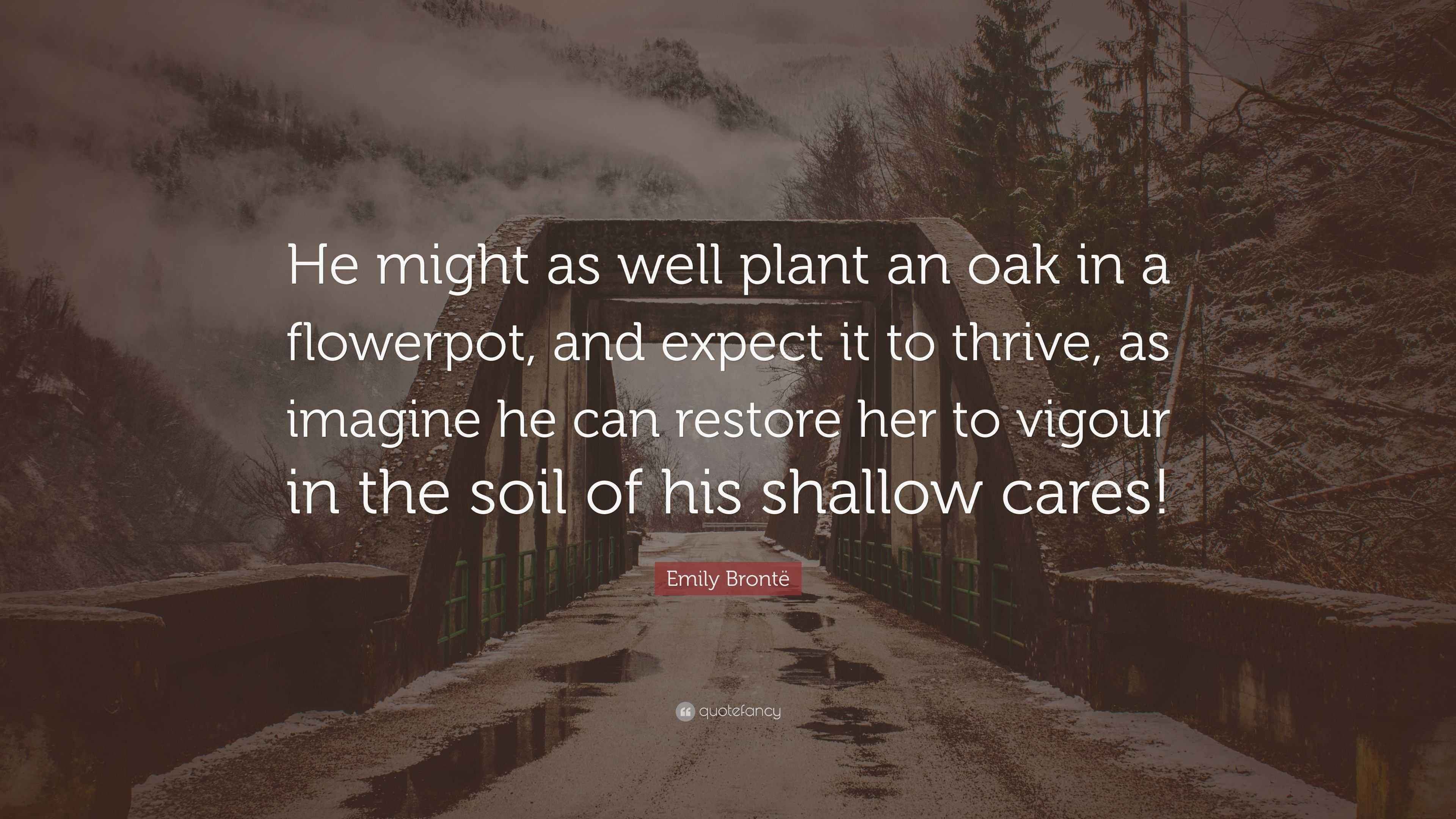 Emily Brontë Quote: “He might as well plant an oak in a flowerpot, and ...