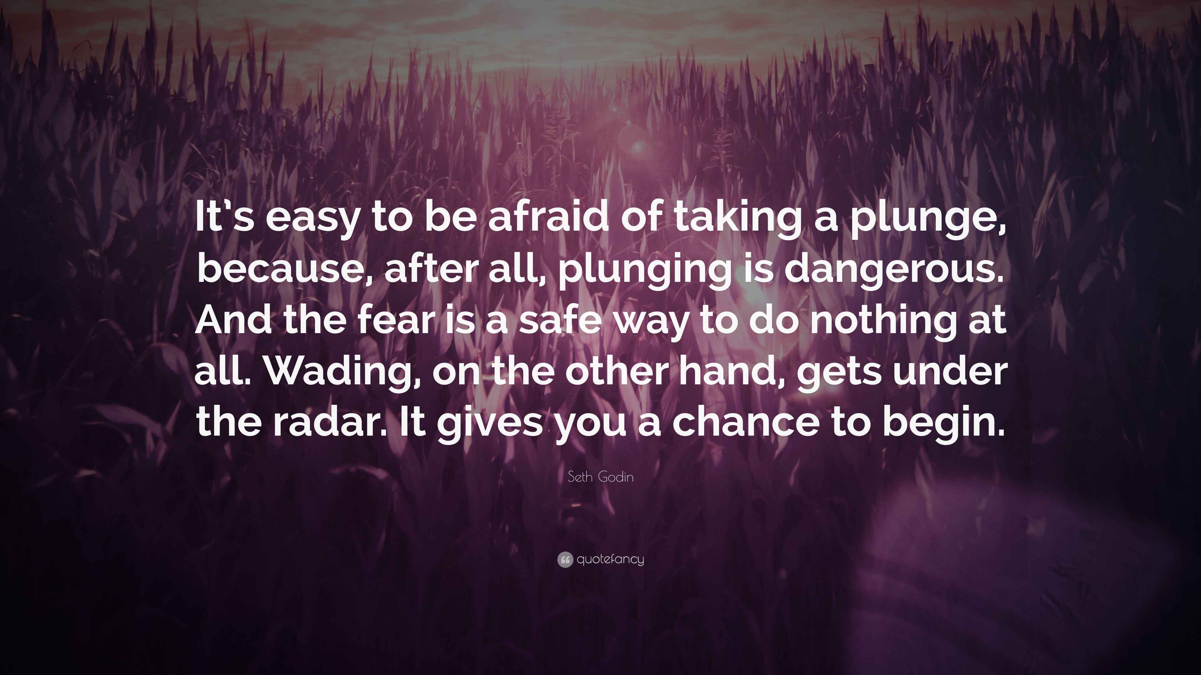 Seth Godin Quote: “It’s easy to be afraid of taking a plunge, because ...