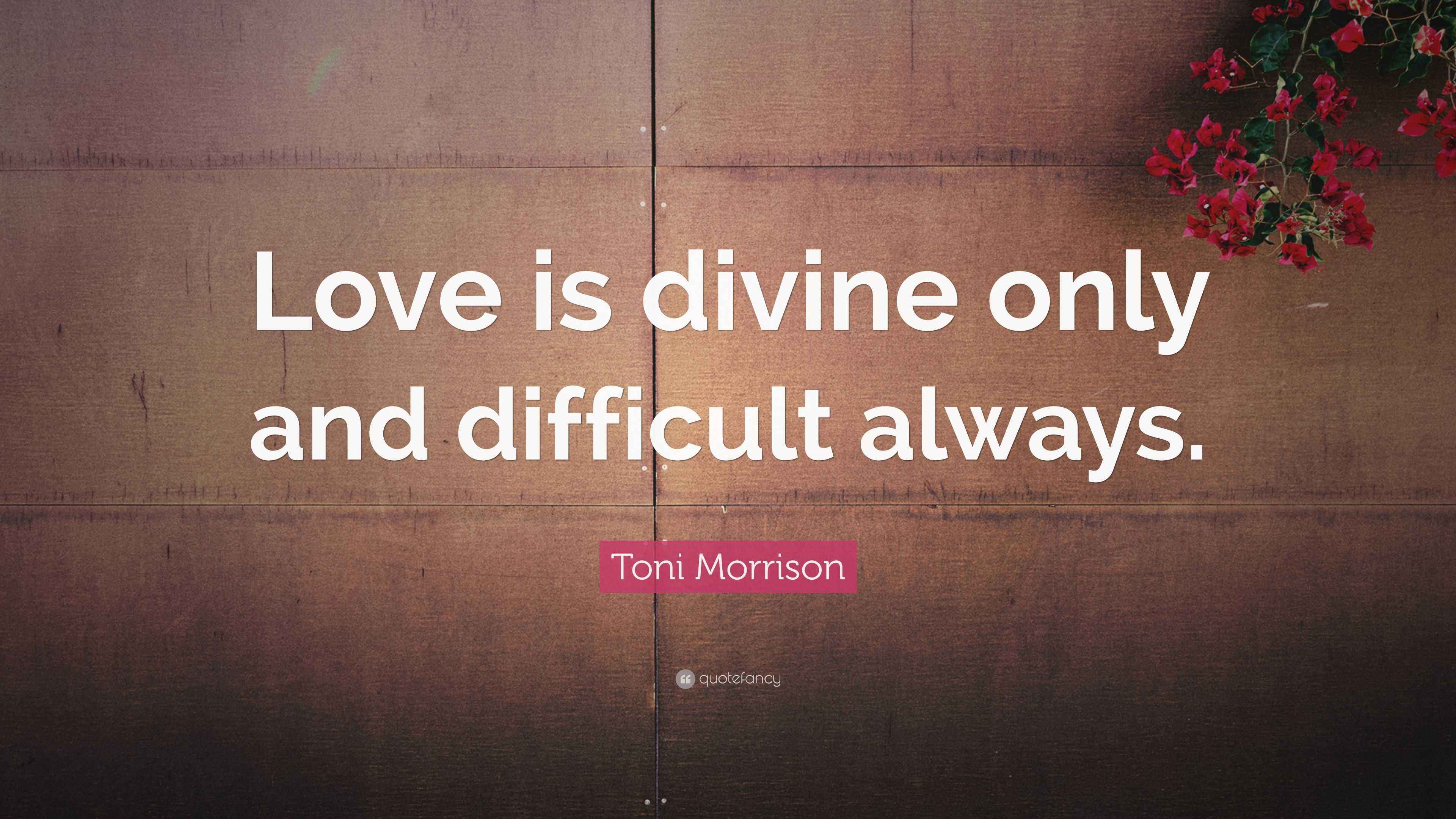 Toni Morrison Quote: “Love is divine only and difficult always.”