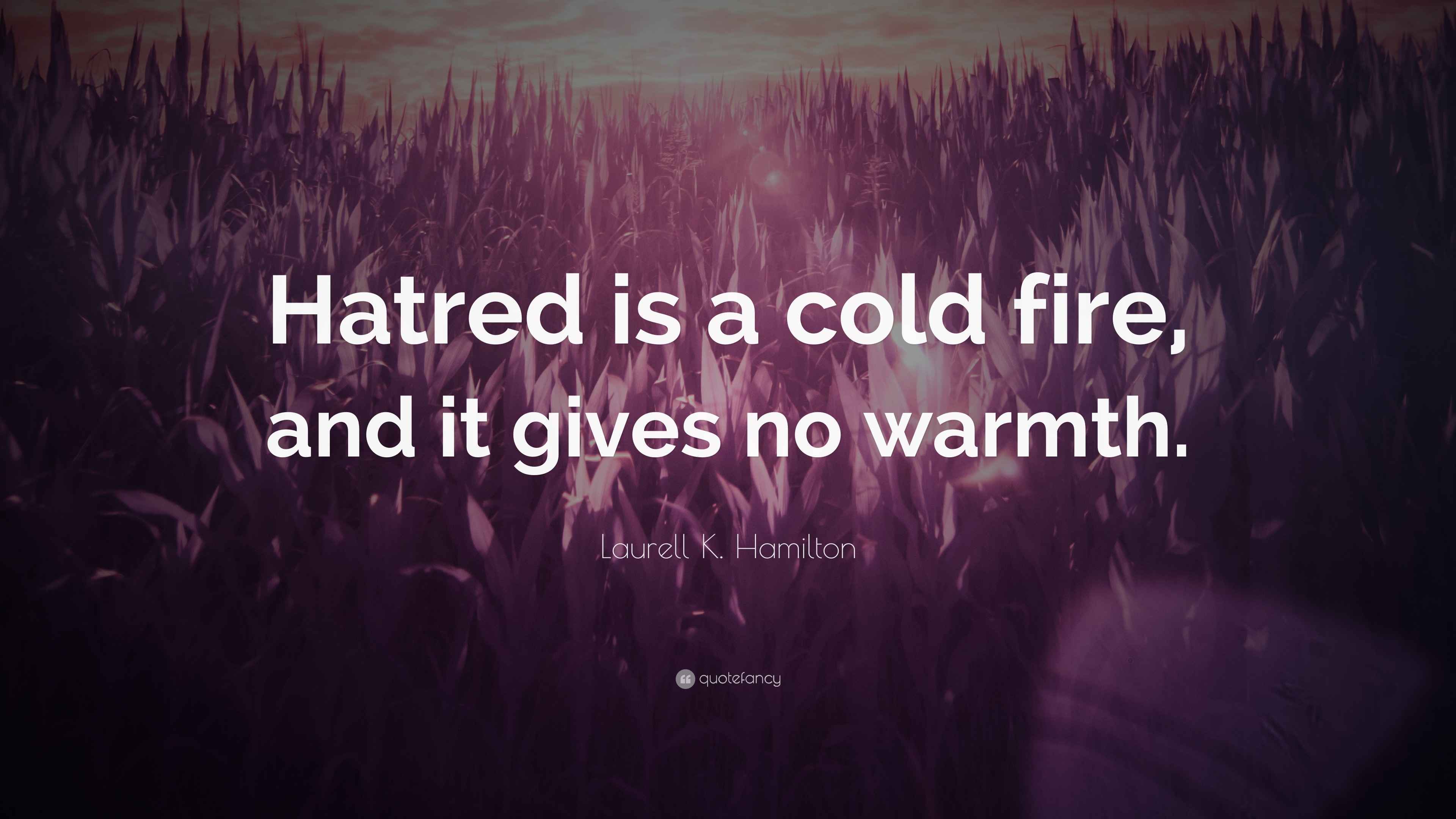 Laurell K. Hamilton Quote: “Hatred is a cold fire, and it gives no warmth.”