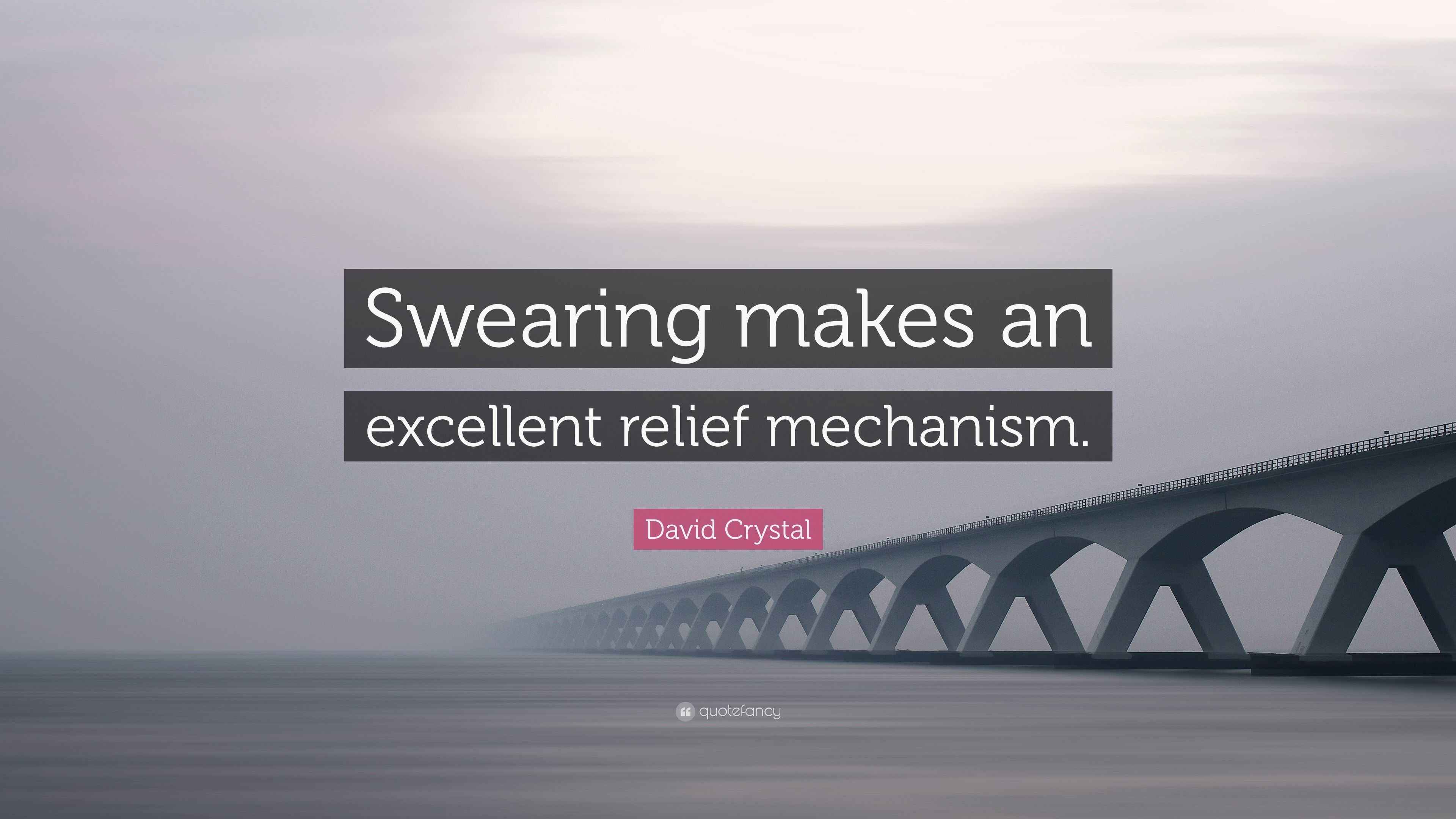 David Crystal Quote: “Swearing makes an excellent relief mechanism.”
