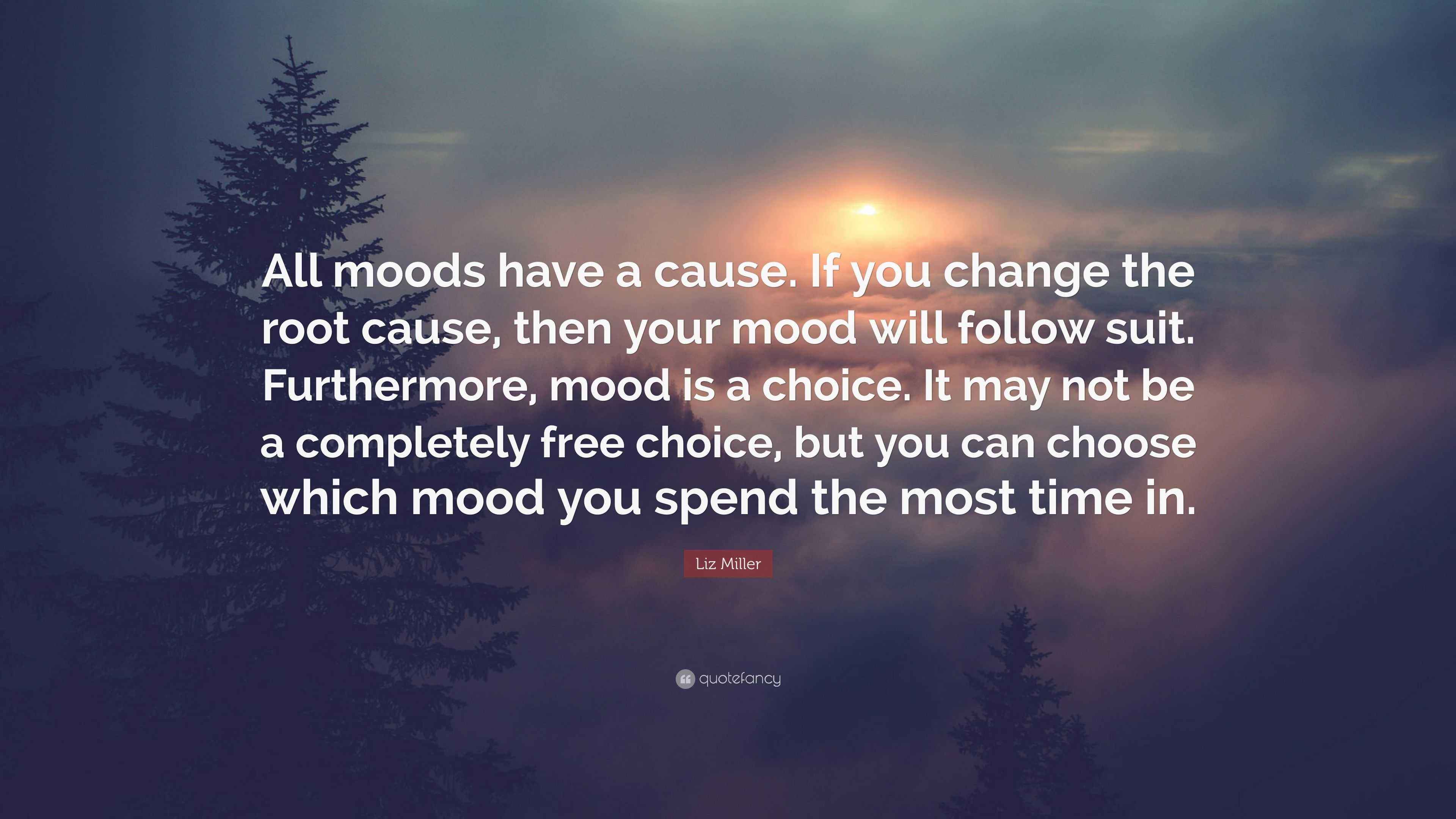 Liz Miller Quote: “All moods have a cause. If you change the root cause ...