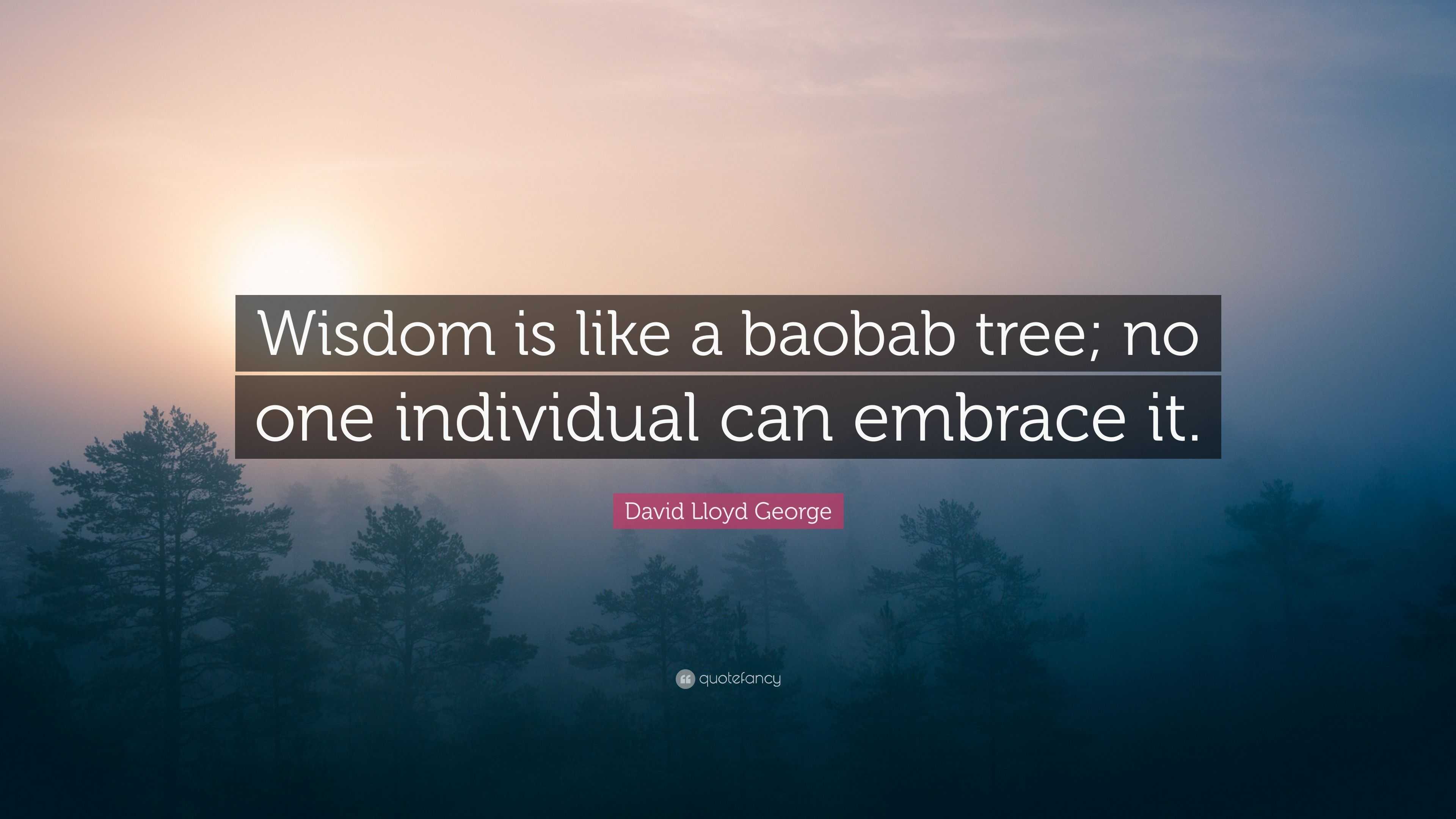 David Lloyd George Quote: “Wisdom is like a baobab tree; no one ...