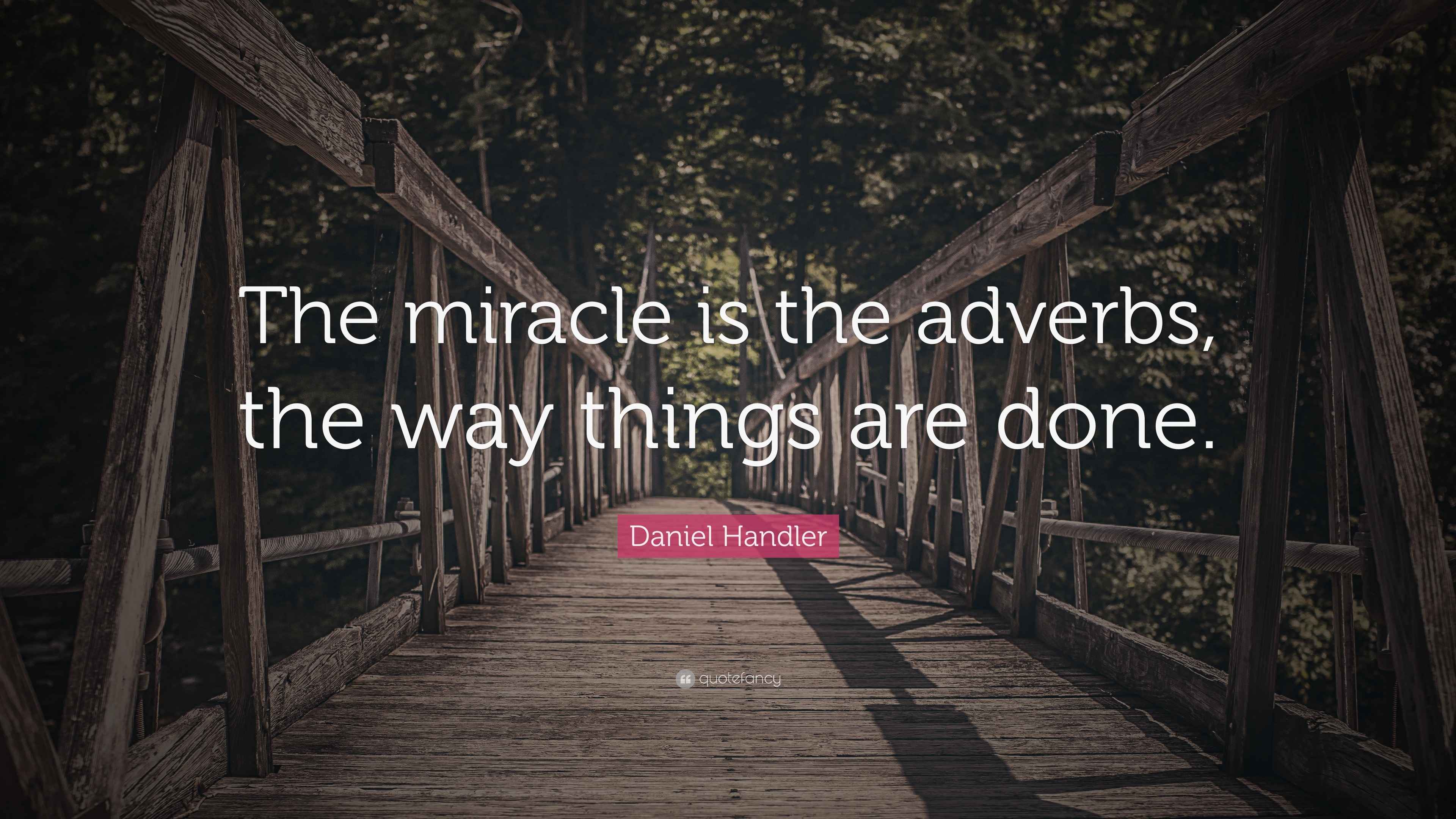 Daniel Handler Quote: “The miracle is the adverbs, the way things are ...