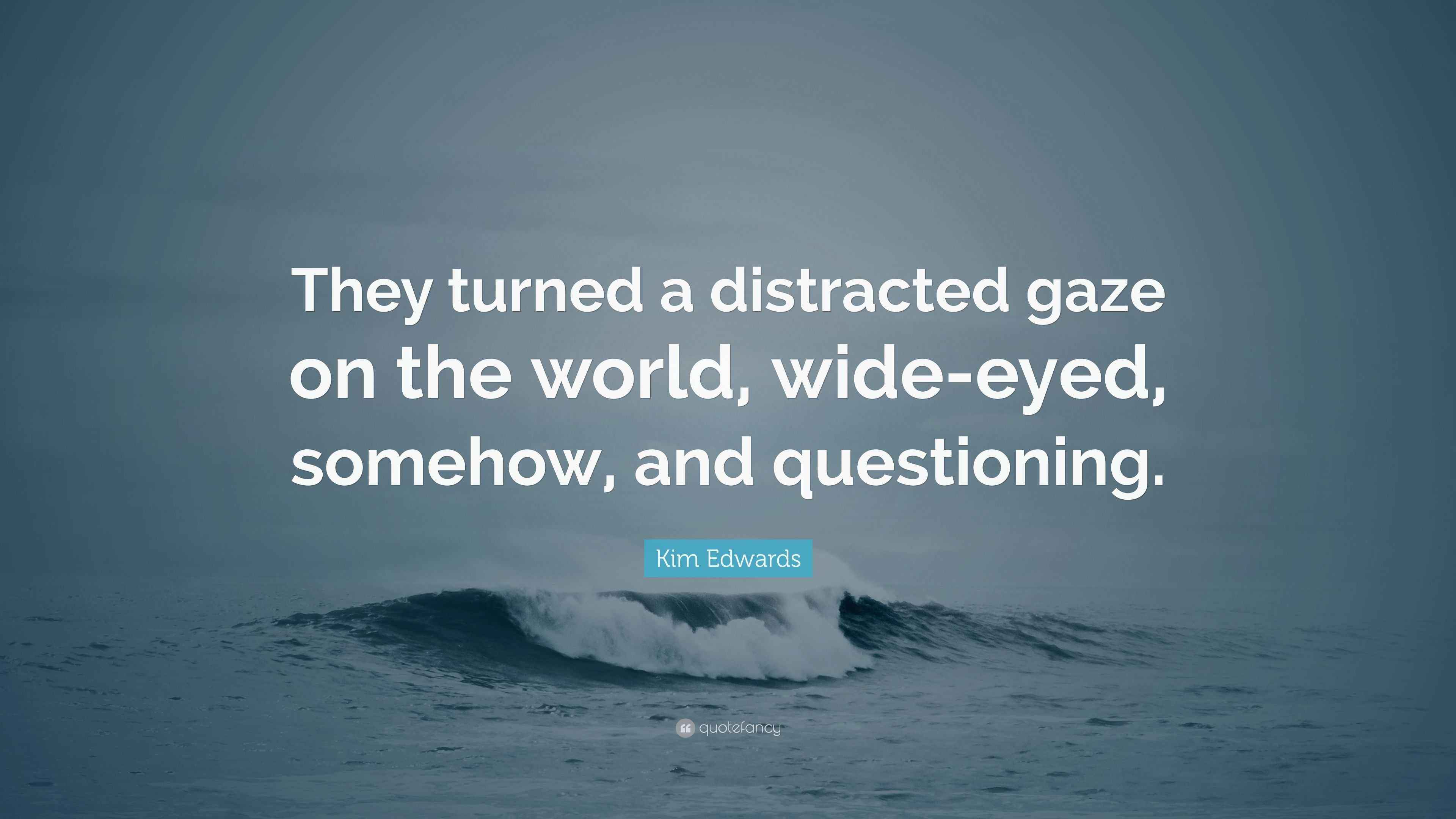 Kim Edwards Quote: “They turned a distracted gaze on the world, wide ...