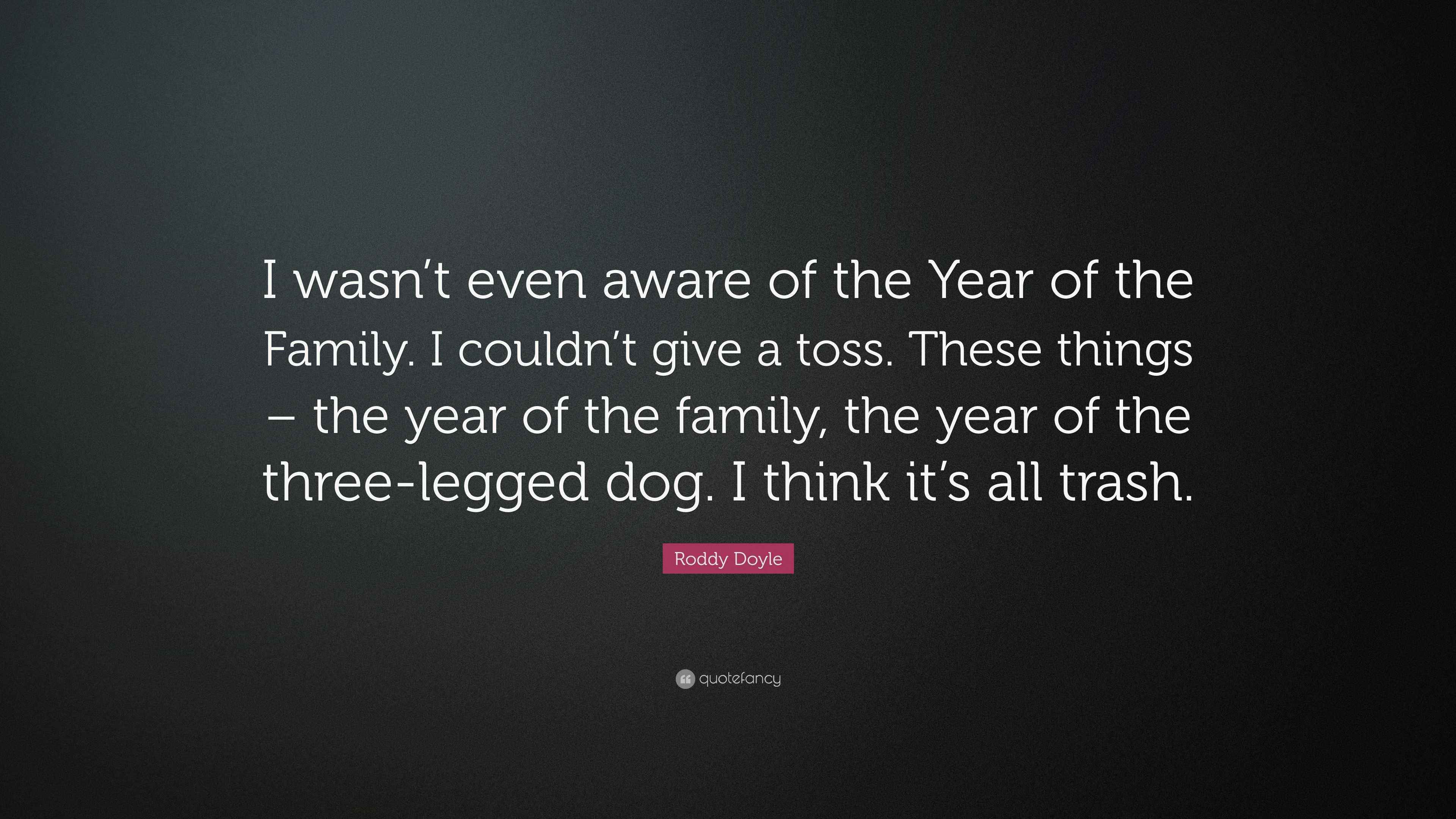 Roddy Doyle Quote: “I wasn’t even aware of the Year of the Family. I ...