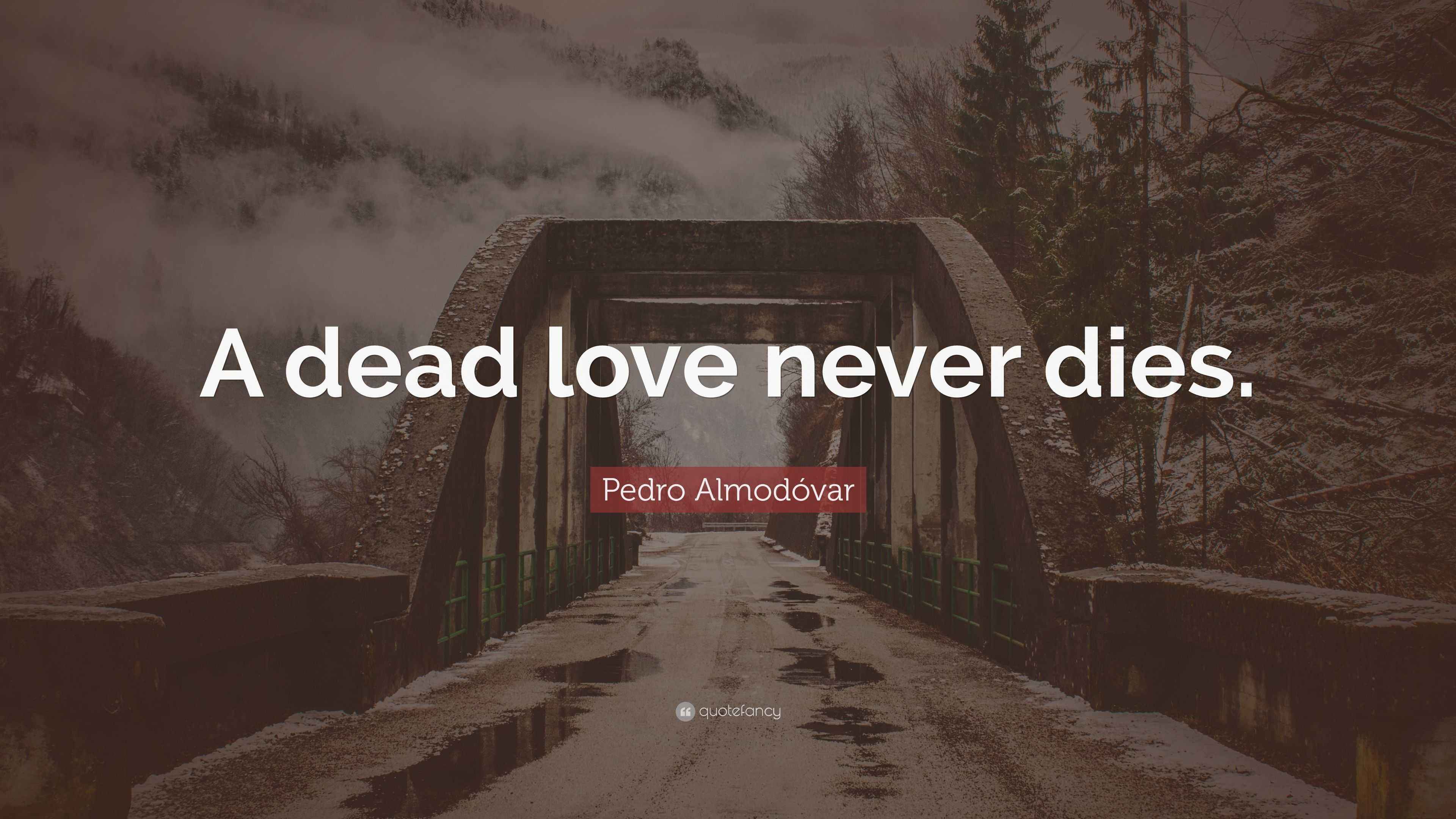 Pedro Almodóvar Quote: “A dead love never dies.”