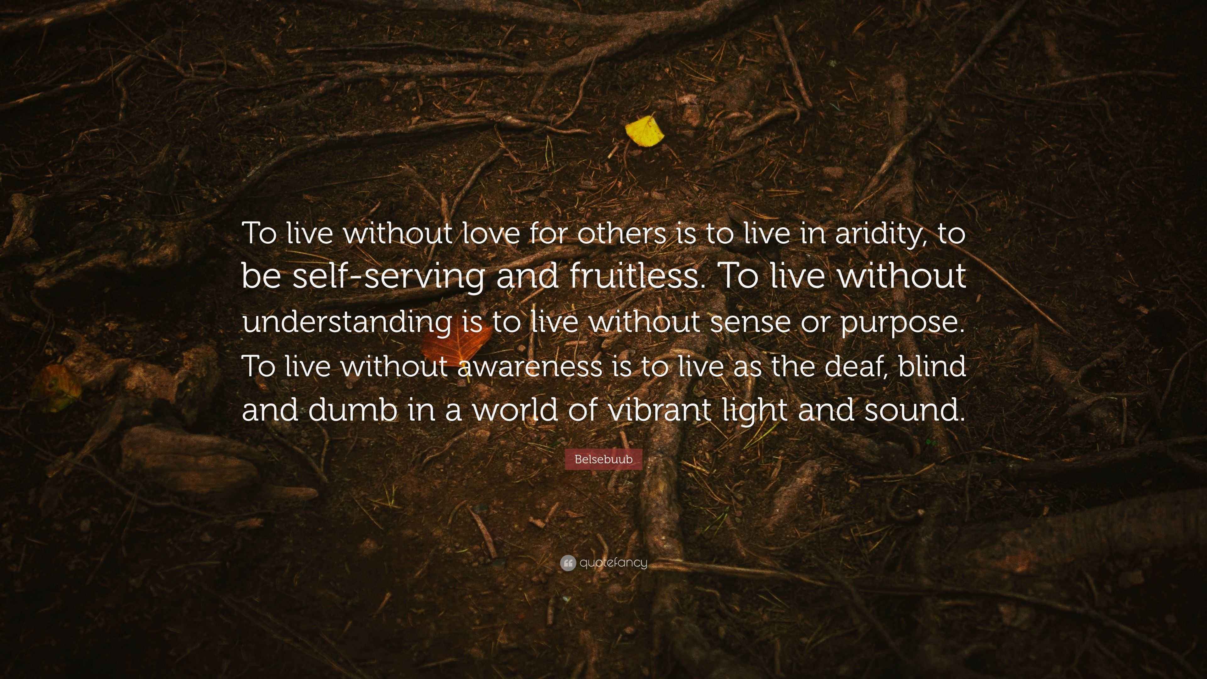 Belsebuub Quote: “To live without love for others is to live in aridity ...