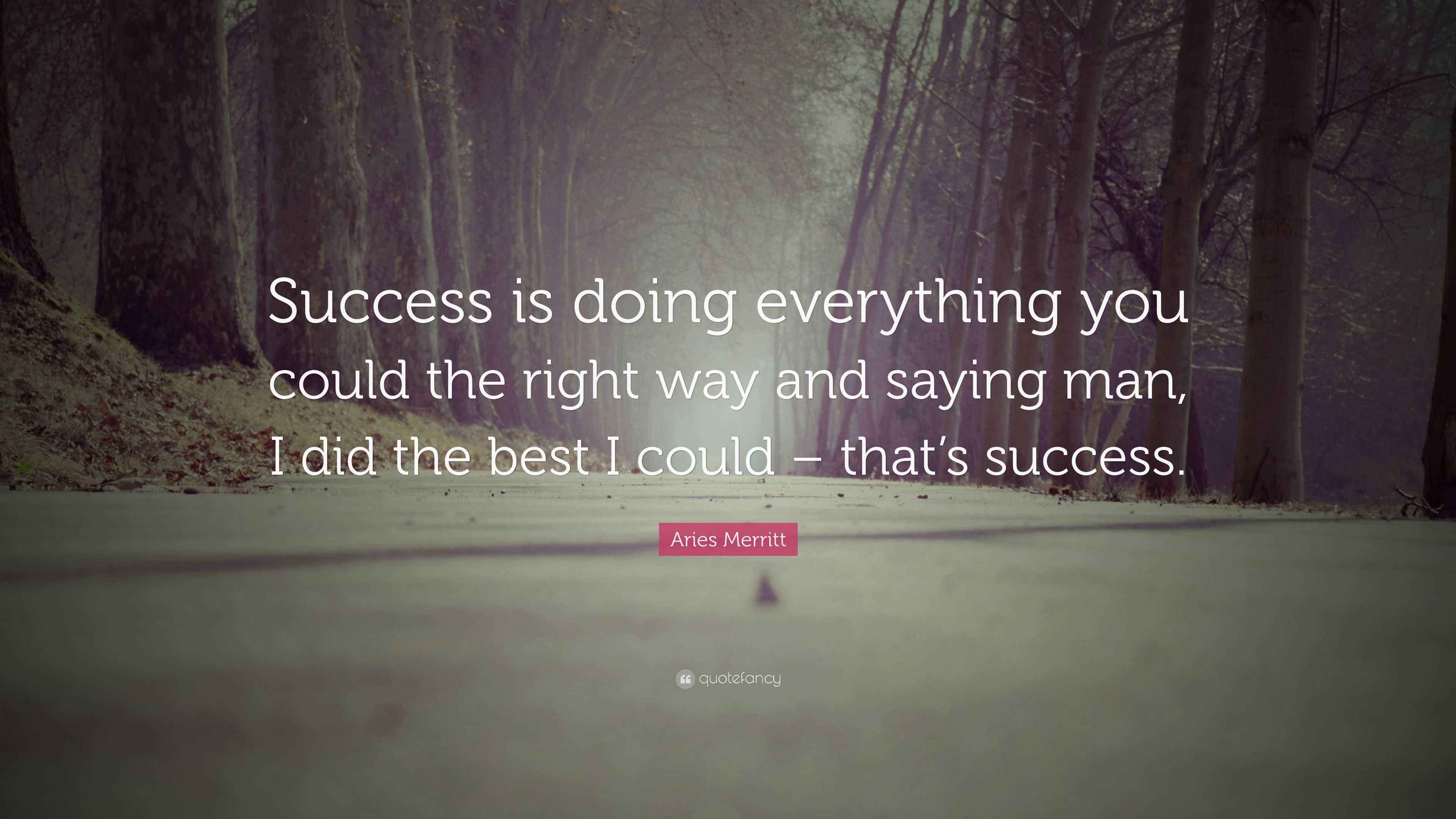 Aries Merritt Quote: “Success is doing everything you could the right ...