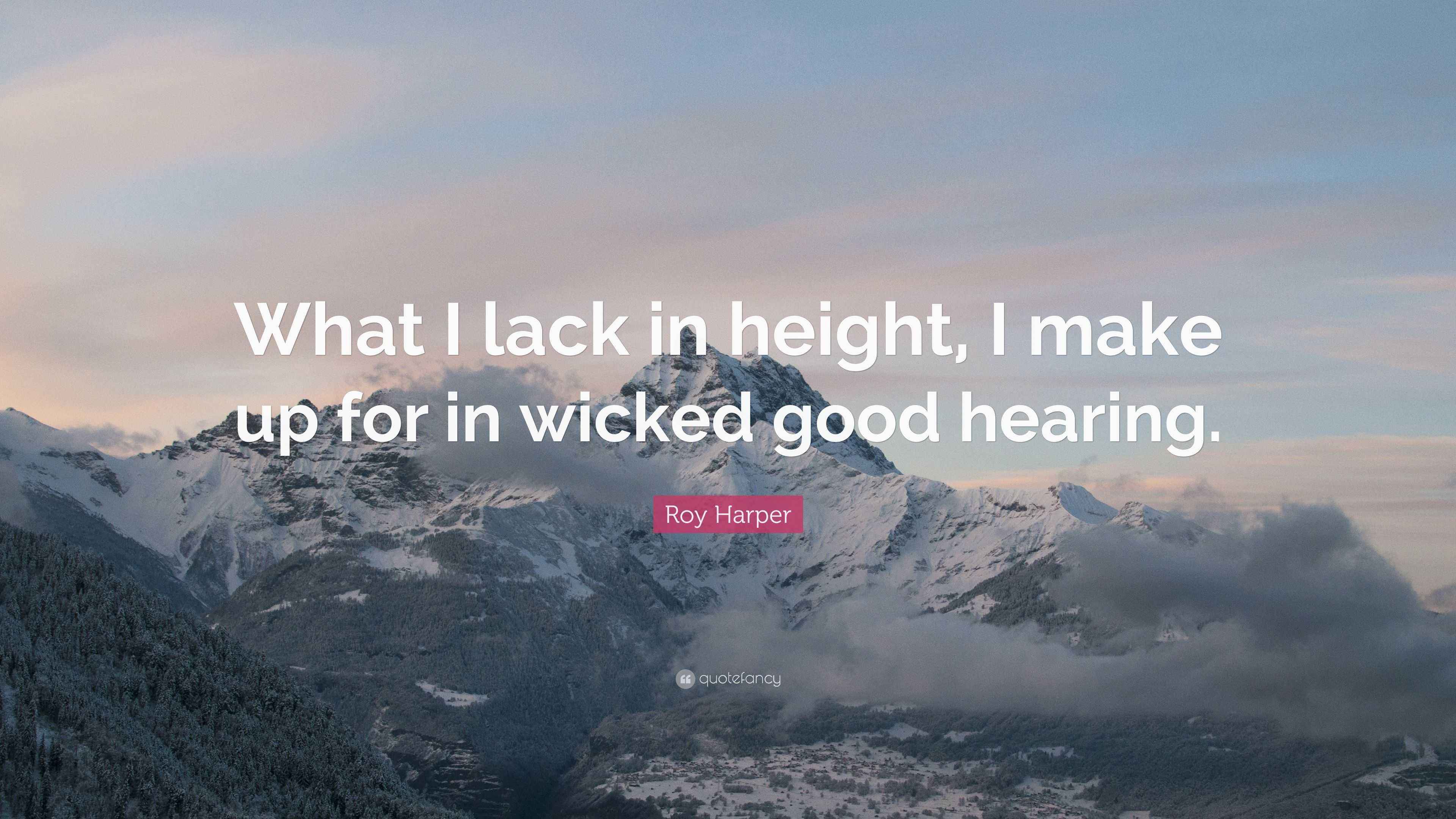 Roy Harper Quote: “What I lack in height, I make up for in wicked good ...