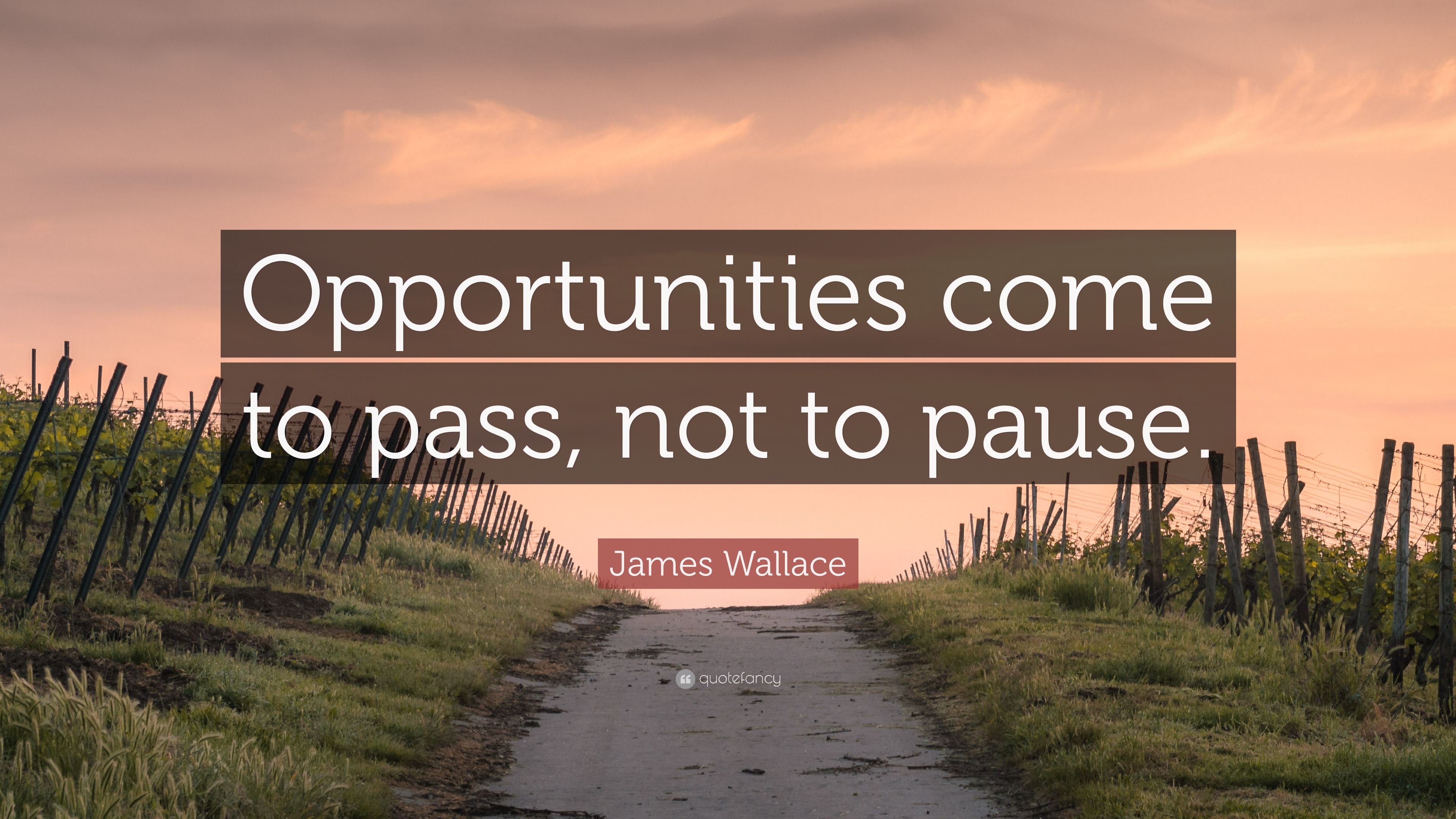 James Wallace Quote: “Opportunities come to pass, not to pause.”