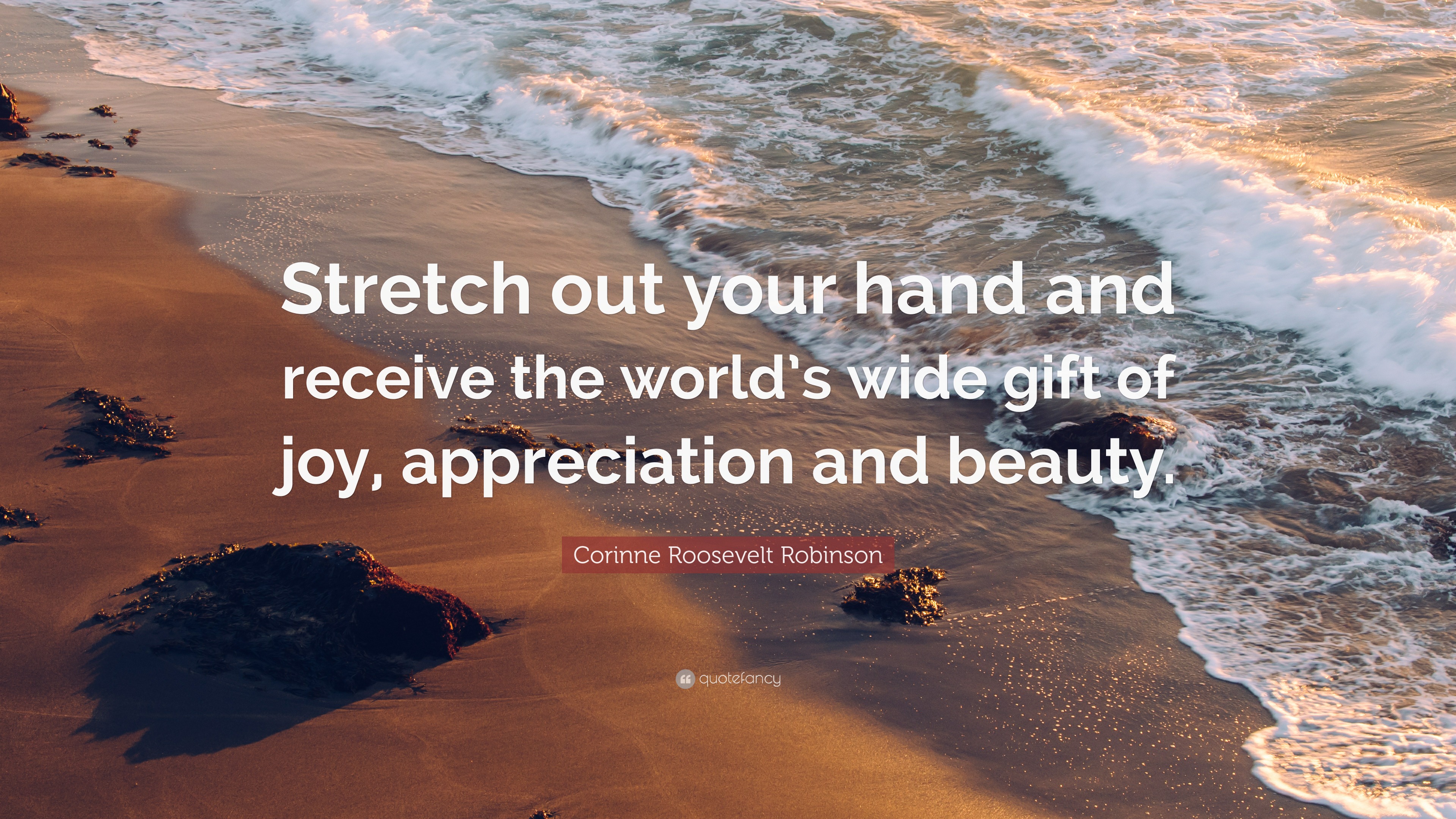 Corinne Roosevelt Robinson Quote: “Stretch out your hand and receive ...