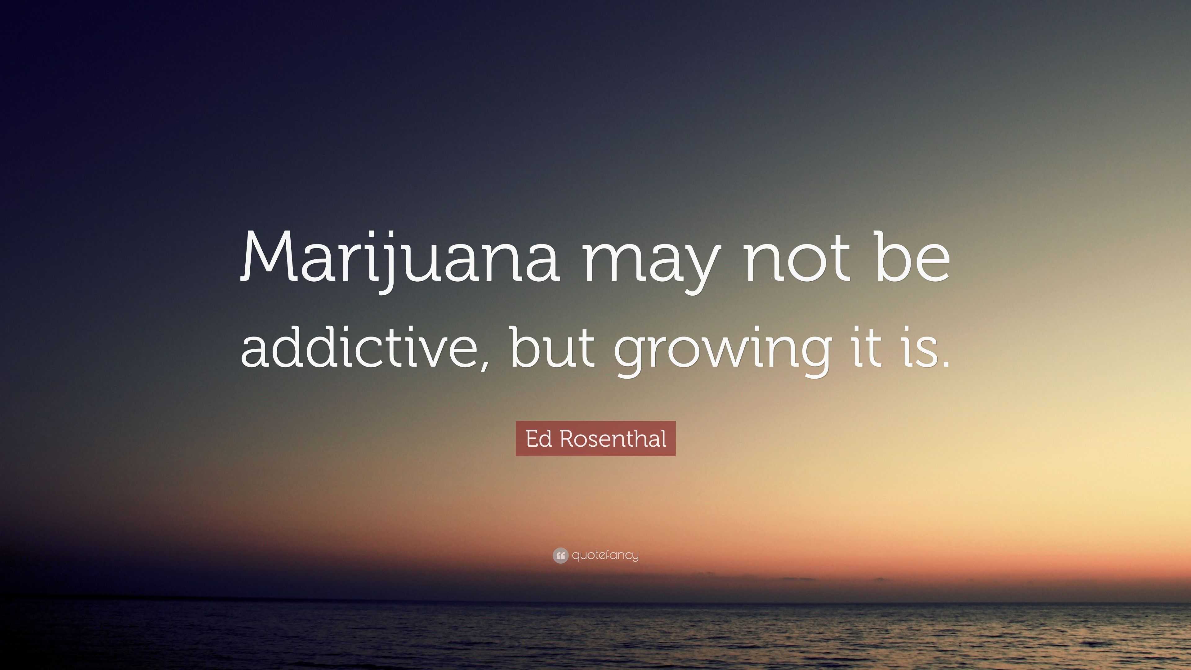 Ed Rosenthal Quote: “Marijuana may not be addictive, but growing it is.”