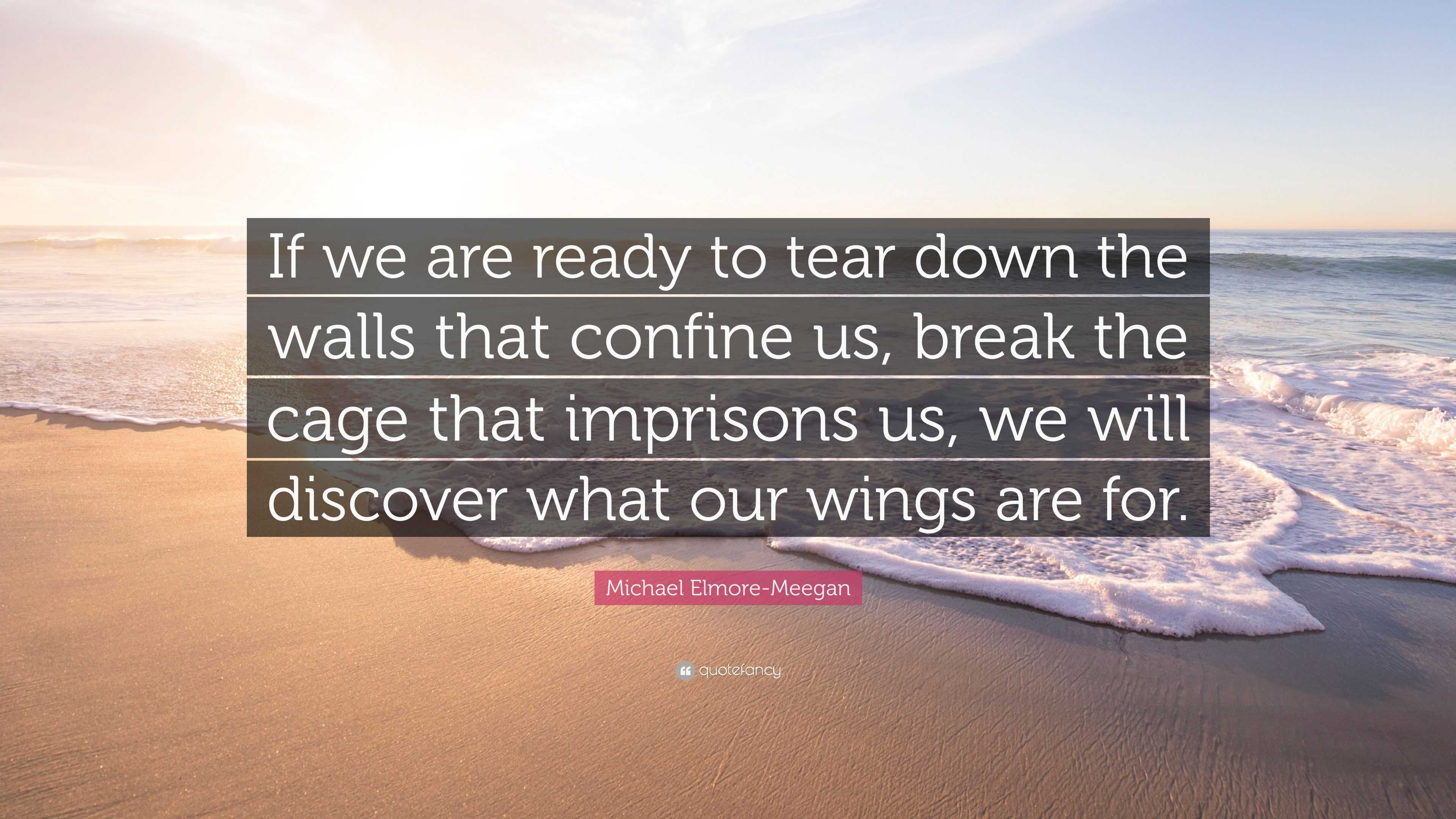 Michael Elmore-Meegan Quote: “If we are ready to tear down the walls ...