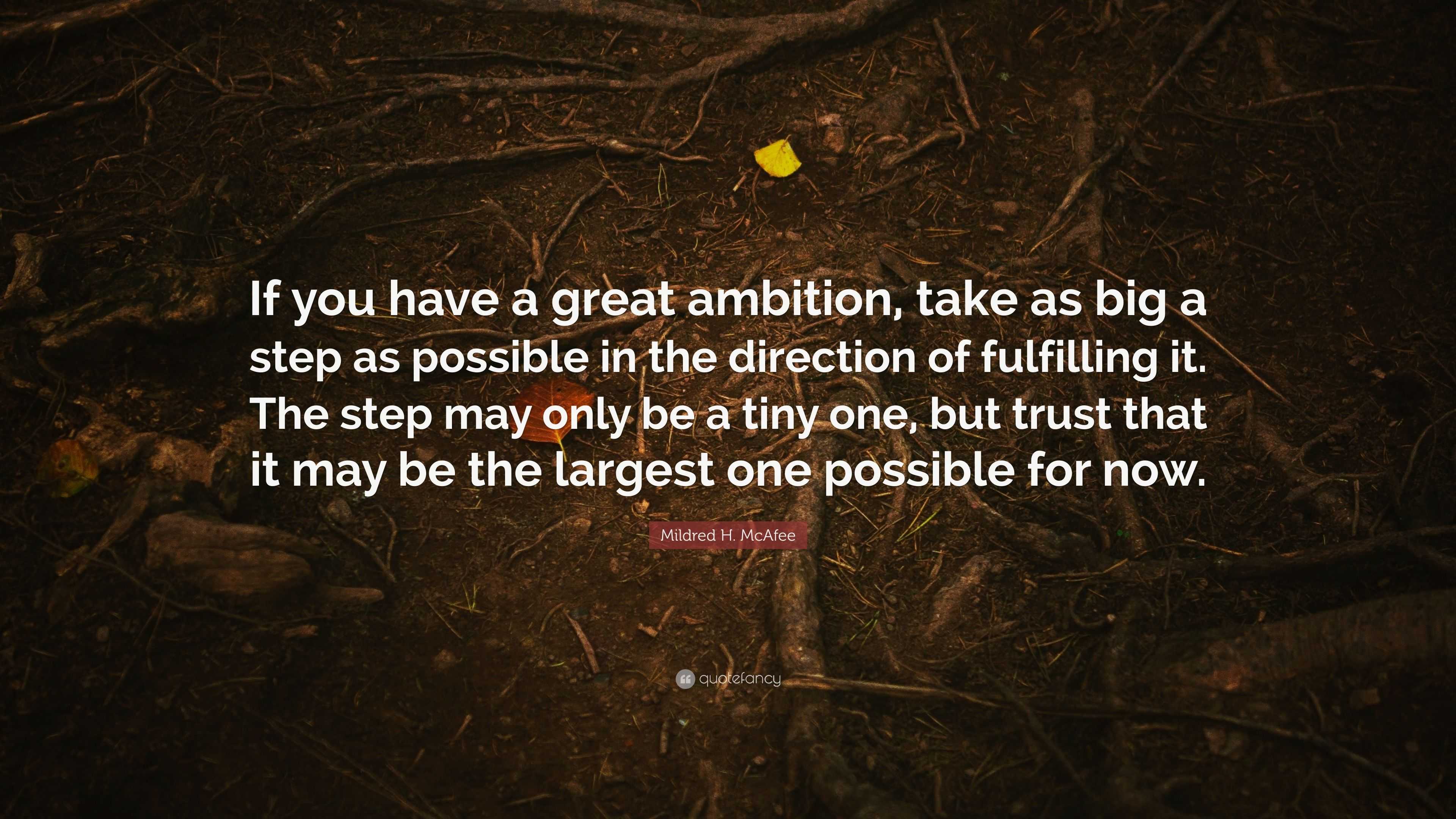Mildred H. McAfee Quote: “If you have a great ambition, take as big a ...