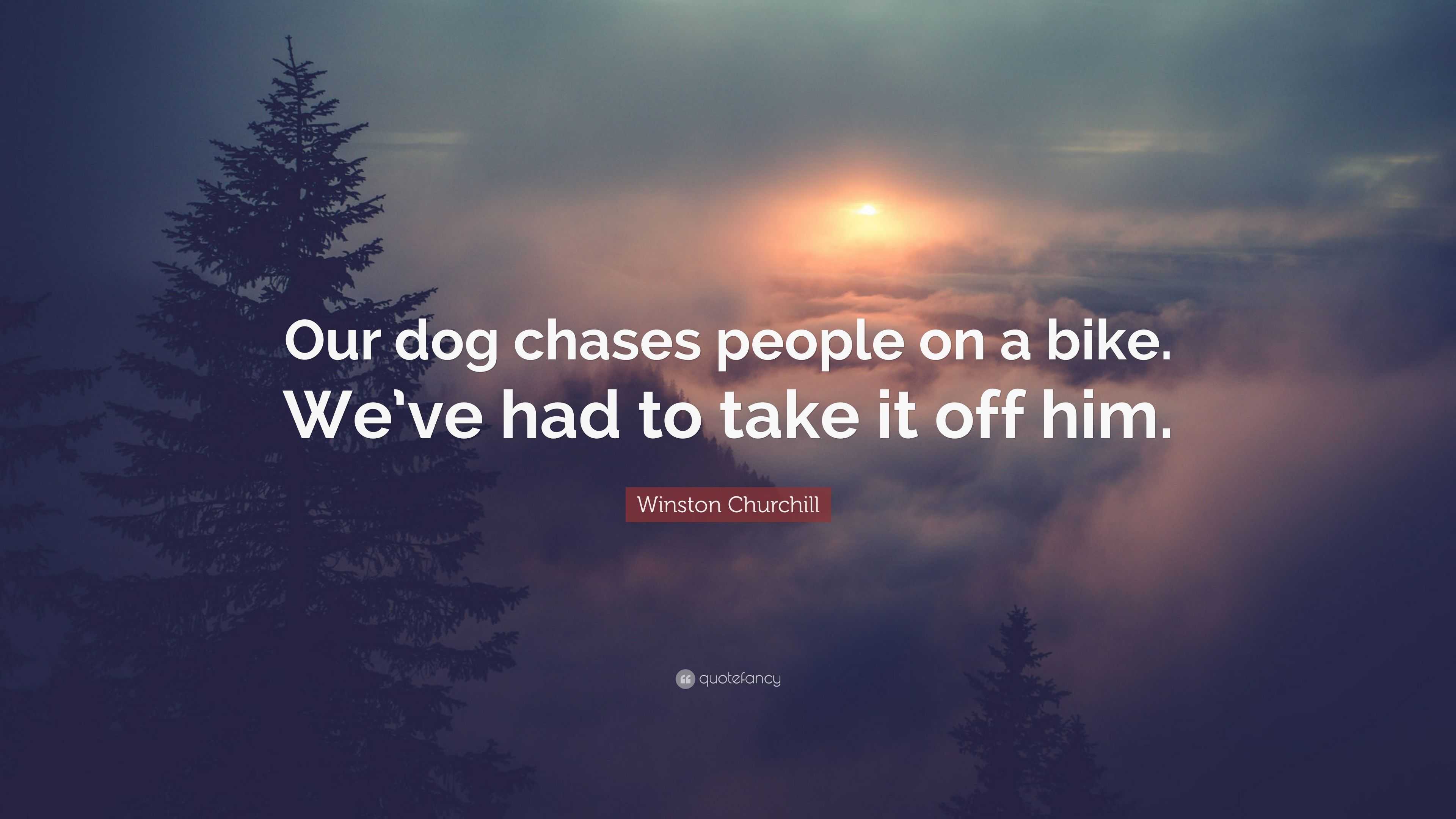Winston Churchill Quote: “Our dog chases people on a bike. We’ve had to ...