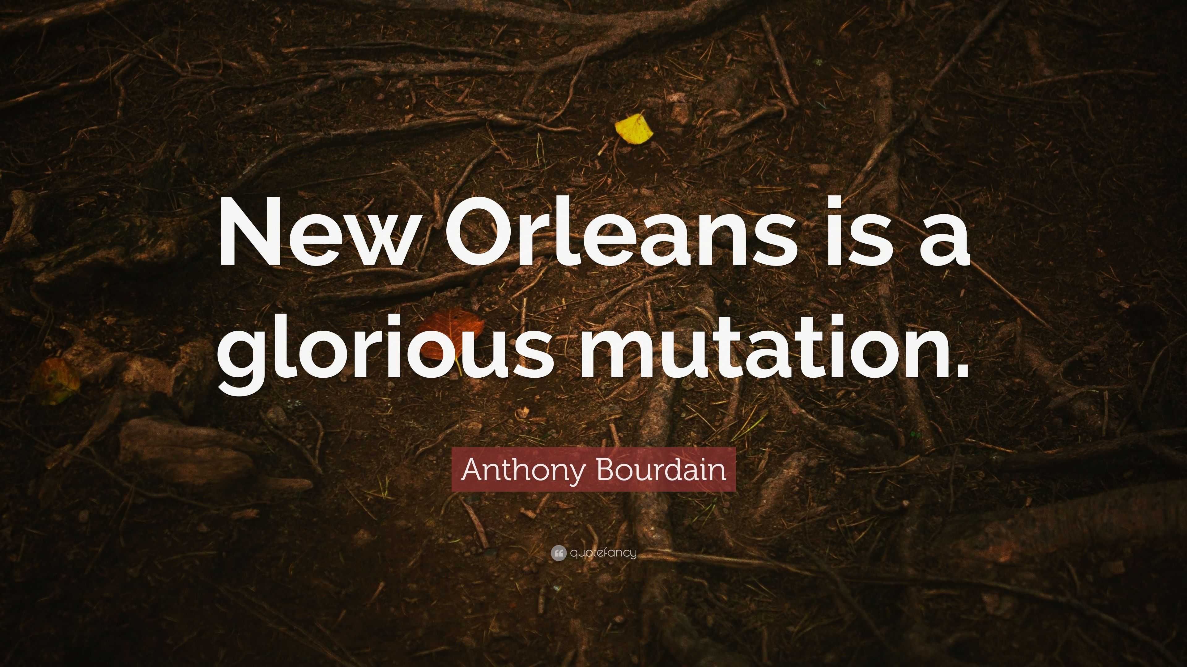 Anthony Bourdain Quote: “New Orleans is a glorious mutation.”