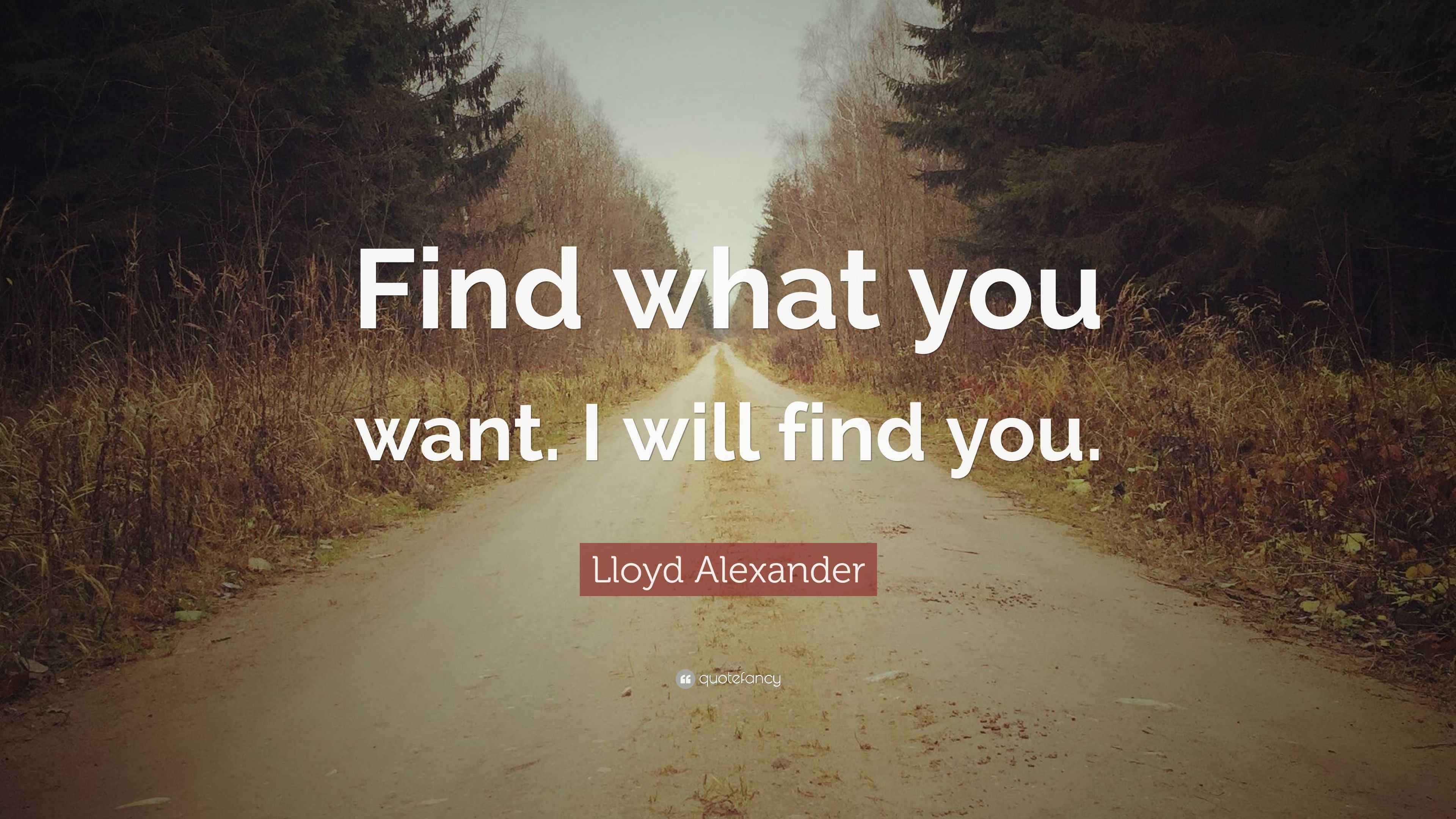 Lloyd Alexander Quote: “Find what you want. I will find you.”