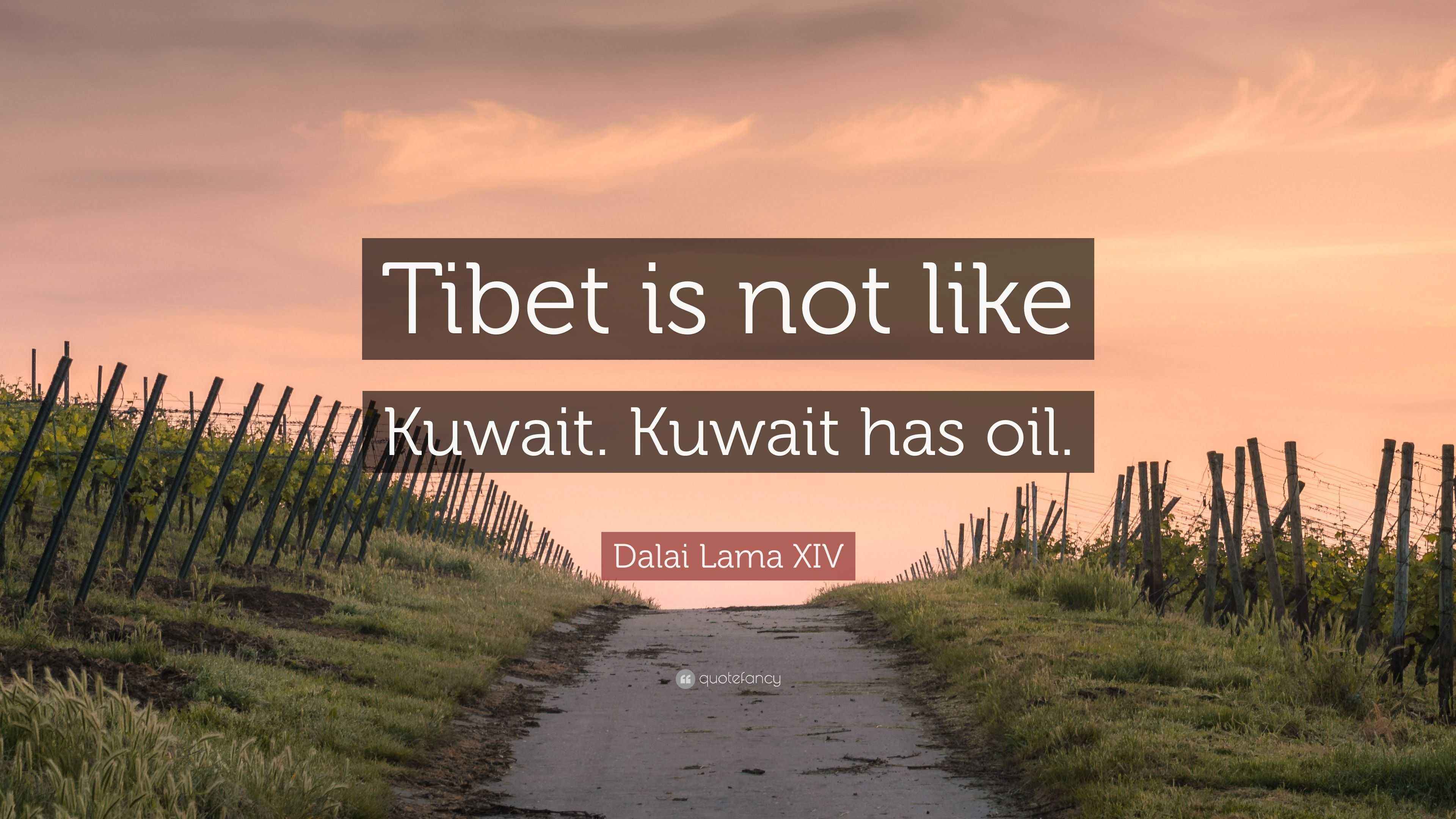 Dalai Lama XIV Quote: “Tibet is not like Kuwait. Kuwait has oil.”