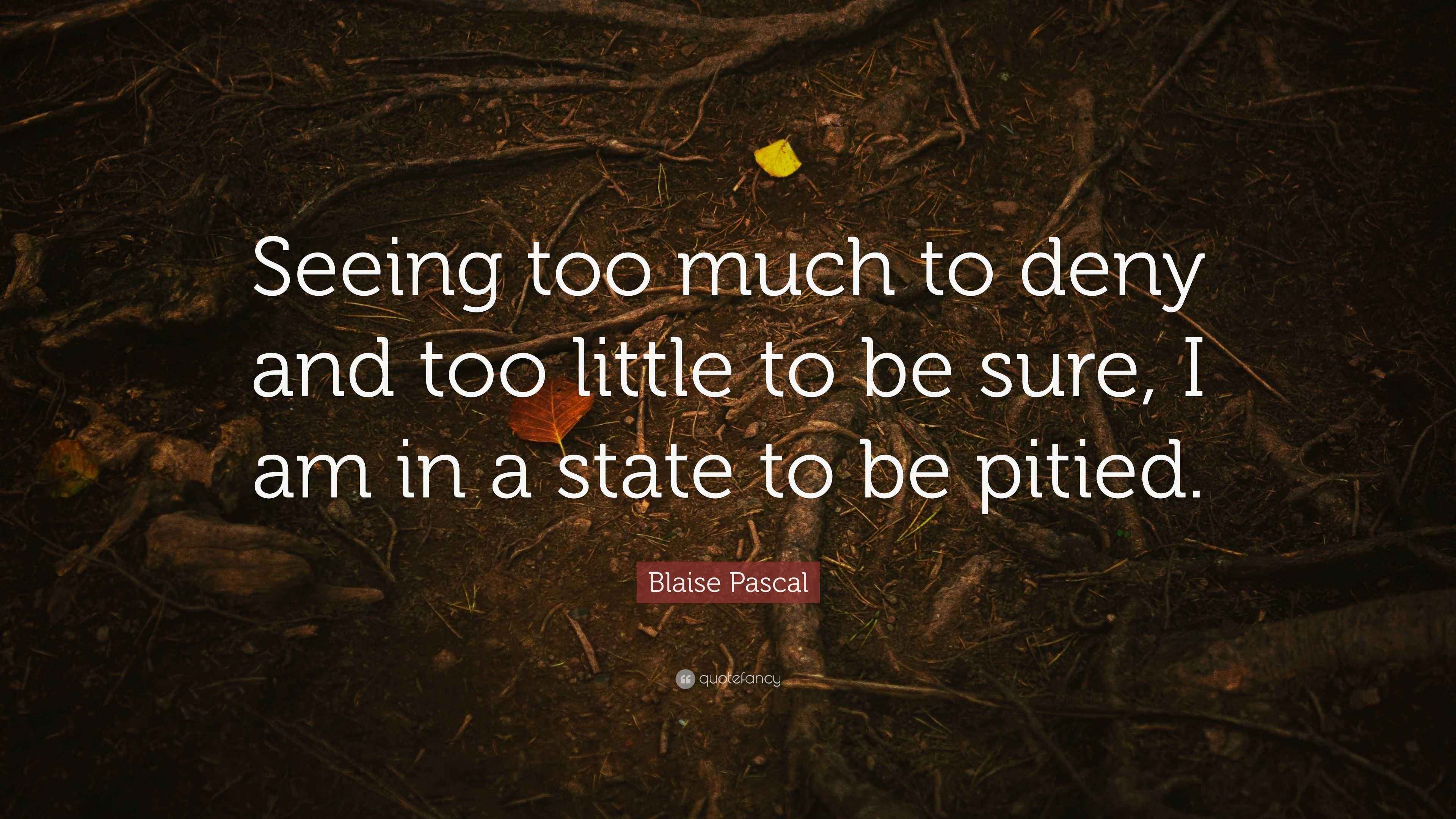 Blaise Pascal Quote: “Seeing too much to deny and too little to be sure ...