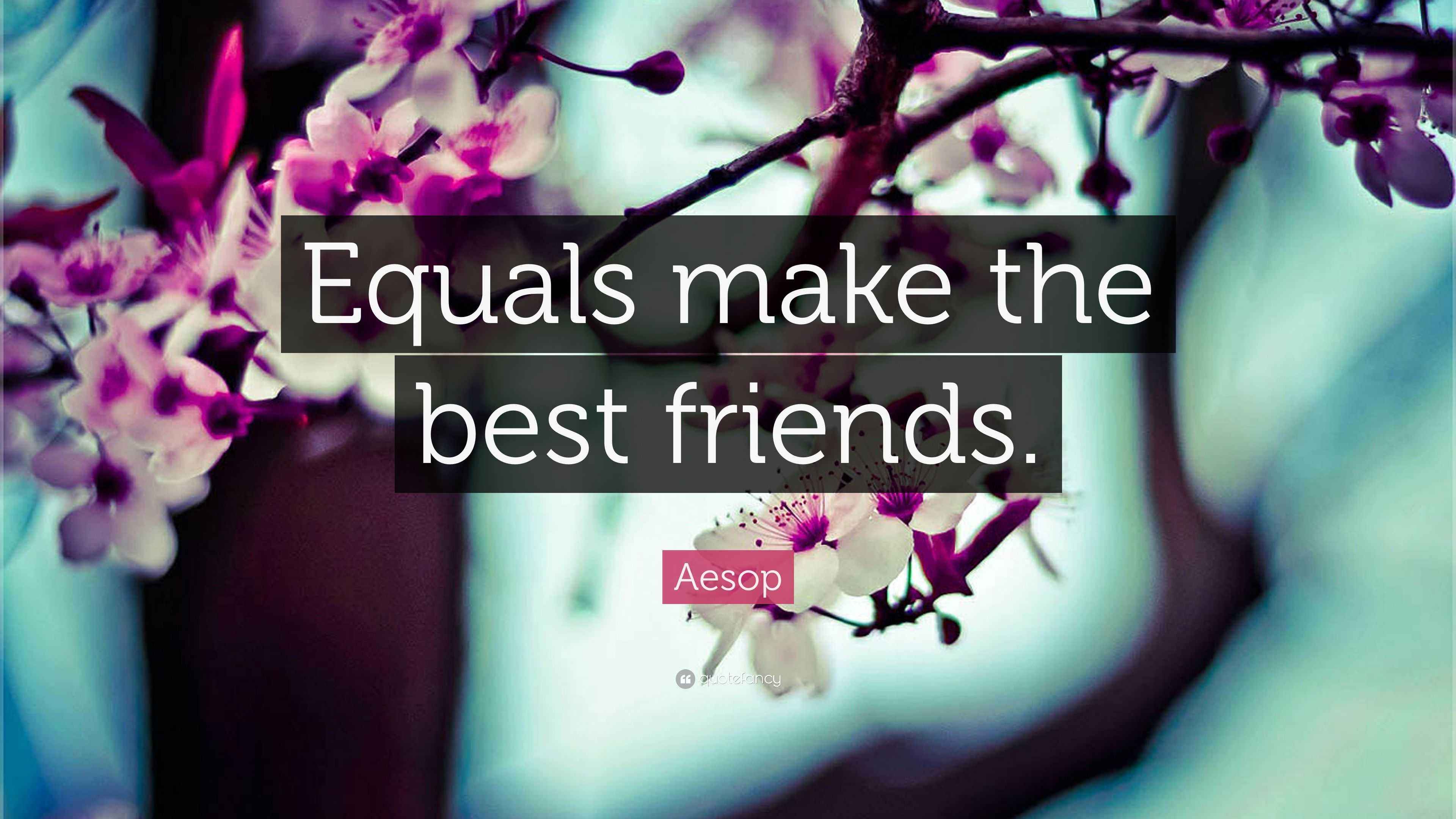 Aesop Quote: “Equals make the best friends.”