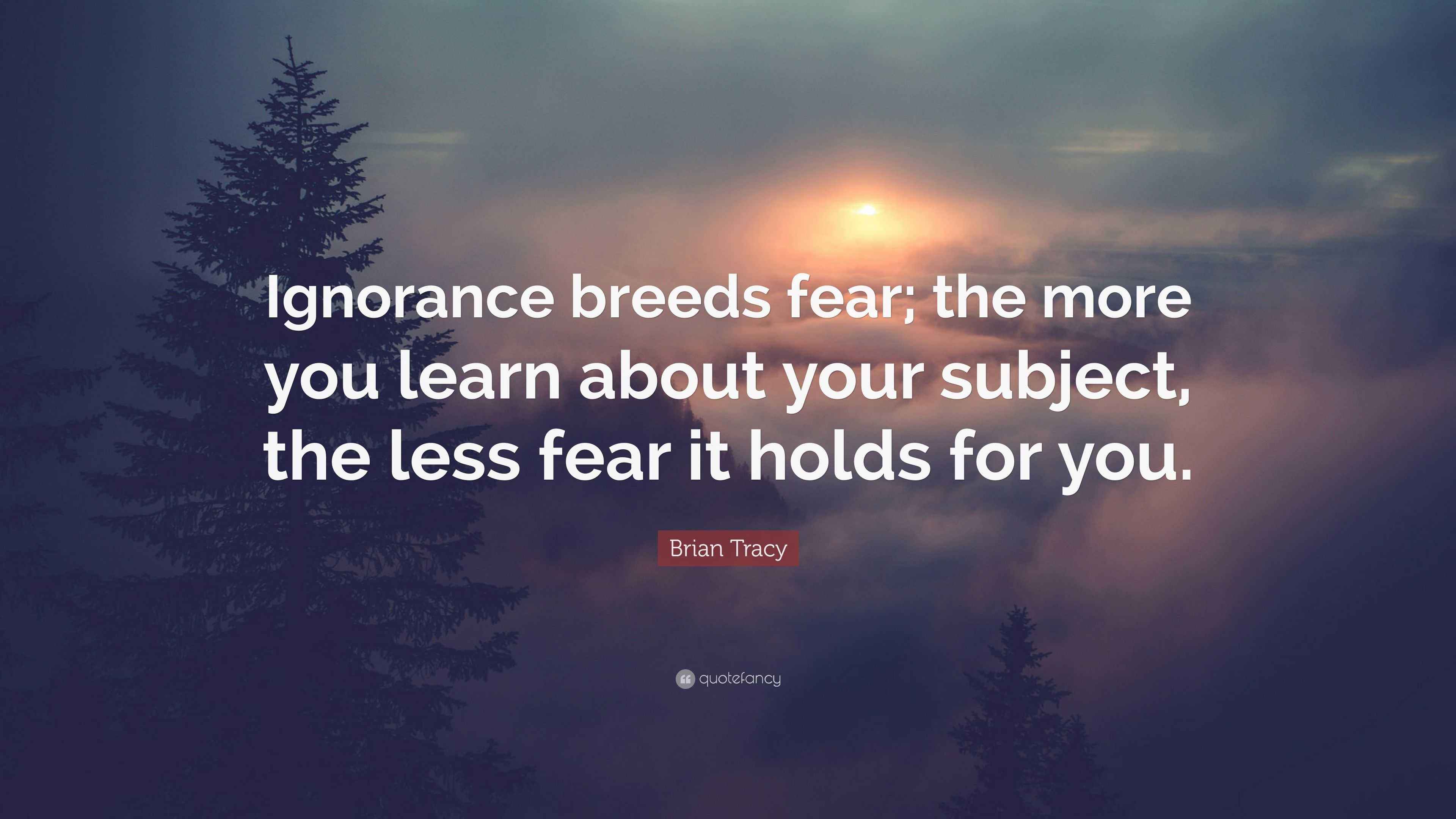 Brian Tracy Quote: “Ignorance breeds fear; the more you learn about ...