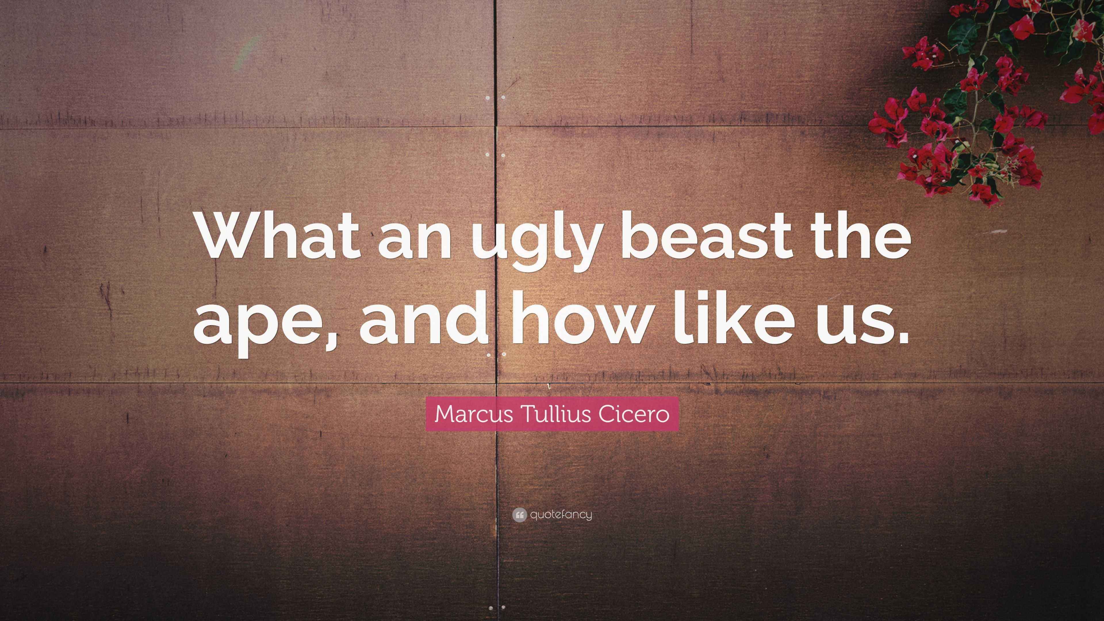 Marcus Tullius Cicero Quote: “What an ugly beast the ape, and how like us.”