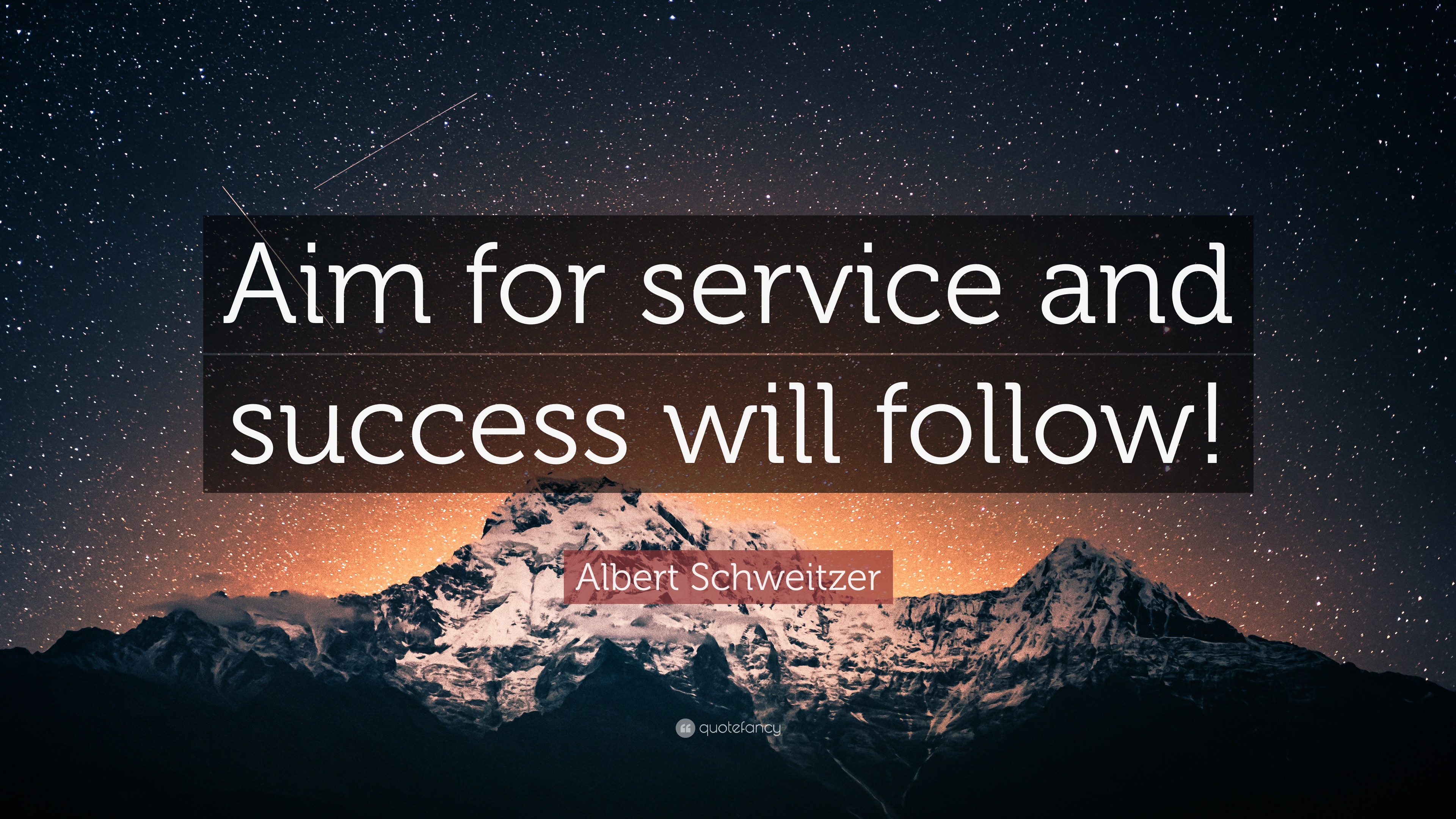 Albert Schweitzer Quote: “Aim for service and success will follow!”