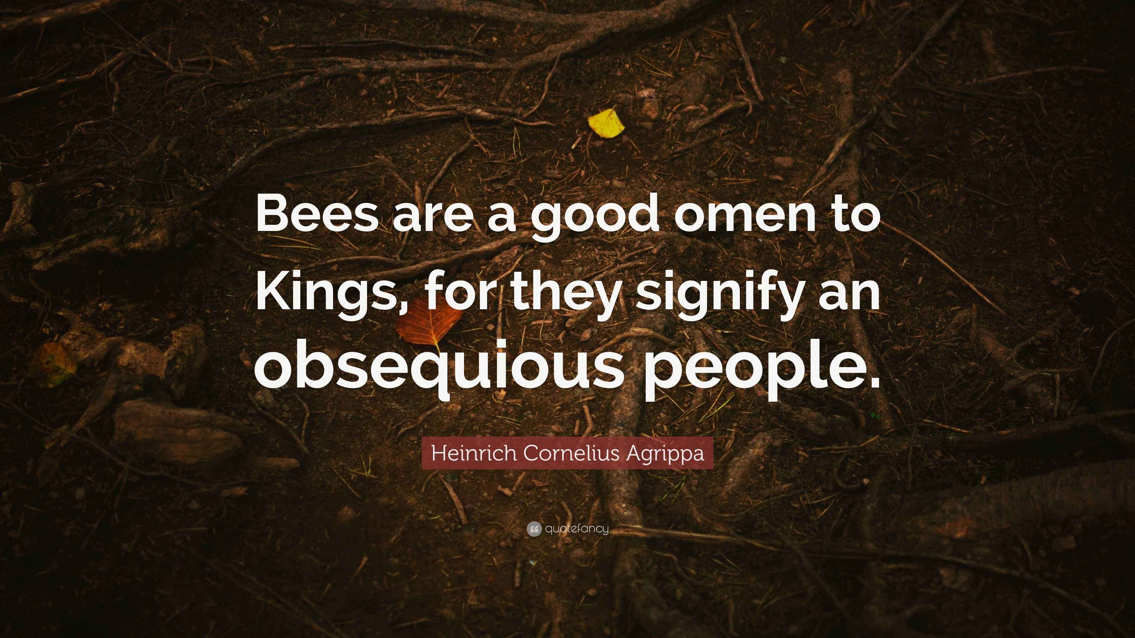 Heinrich Cornelius Agrippa Quote: “Bees are a good omen to Kings, for ...